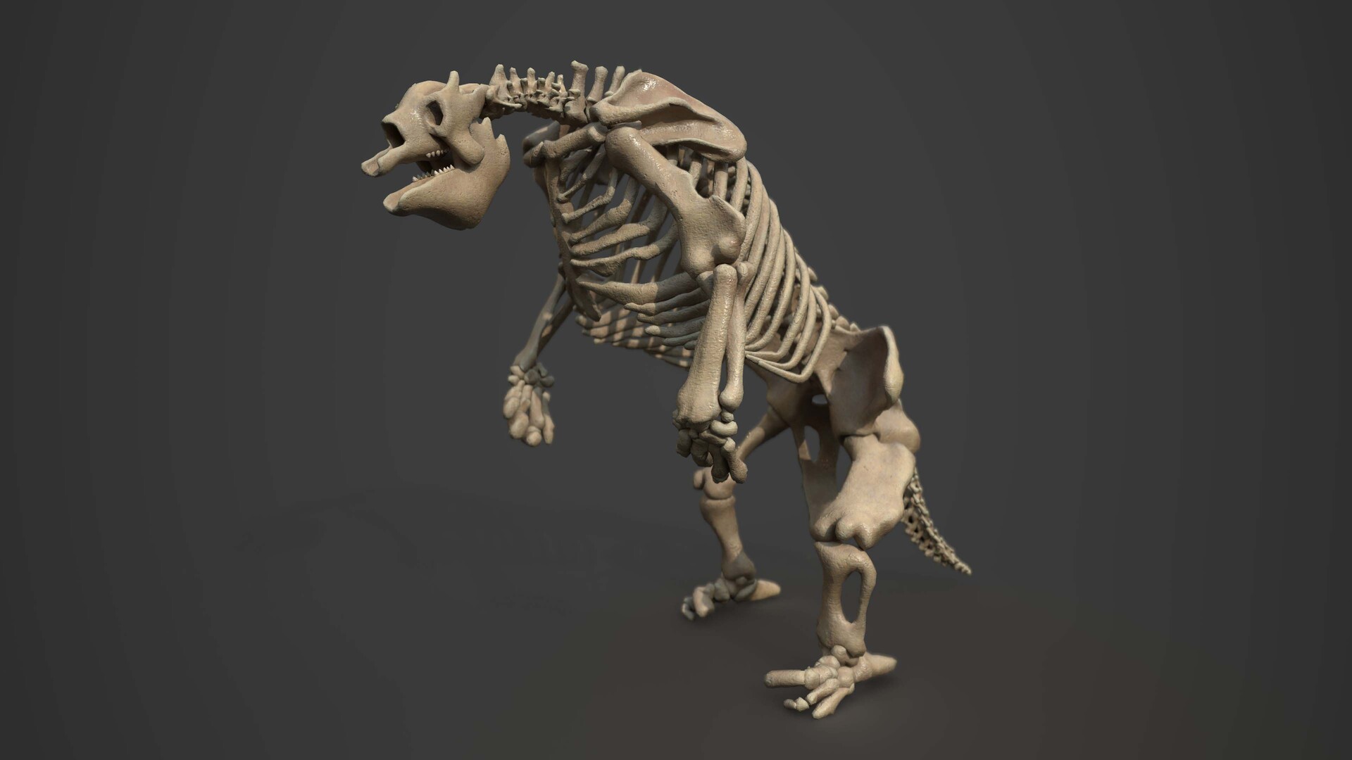 ArtStation - Ground Sloth Skeleton