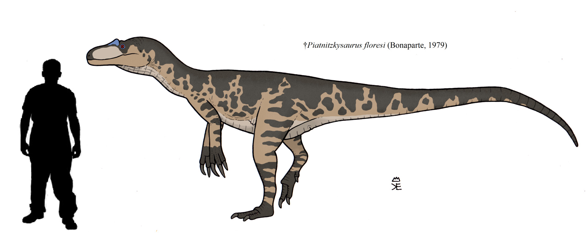 Thomas Sutton - Piatnitzkysaurus floresi