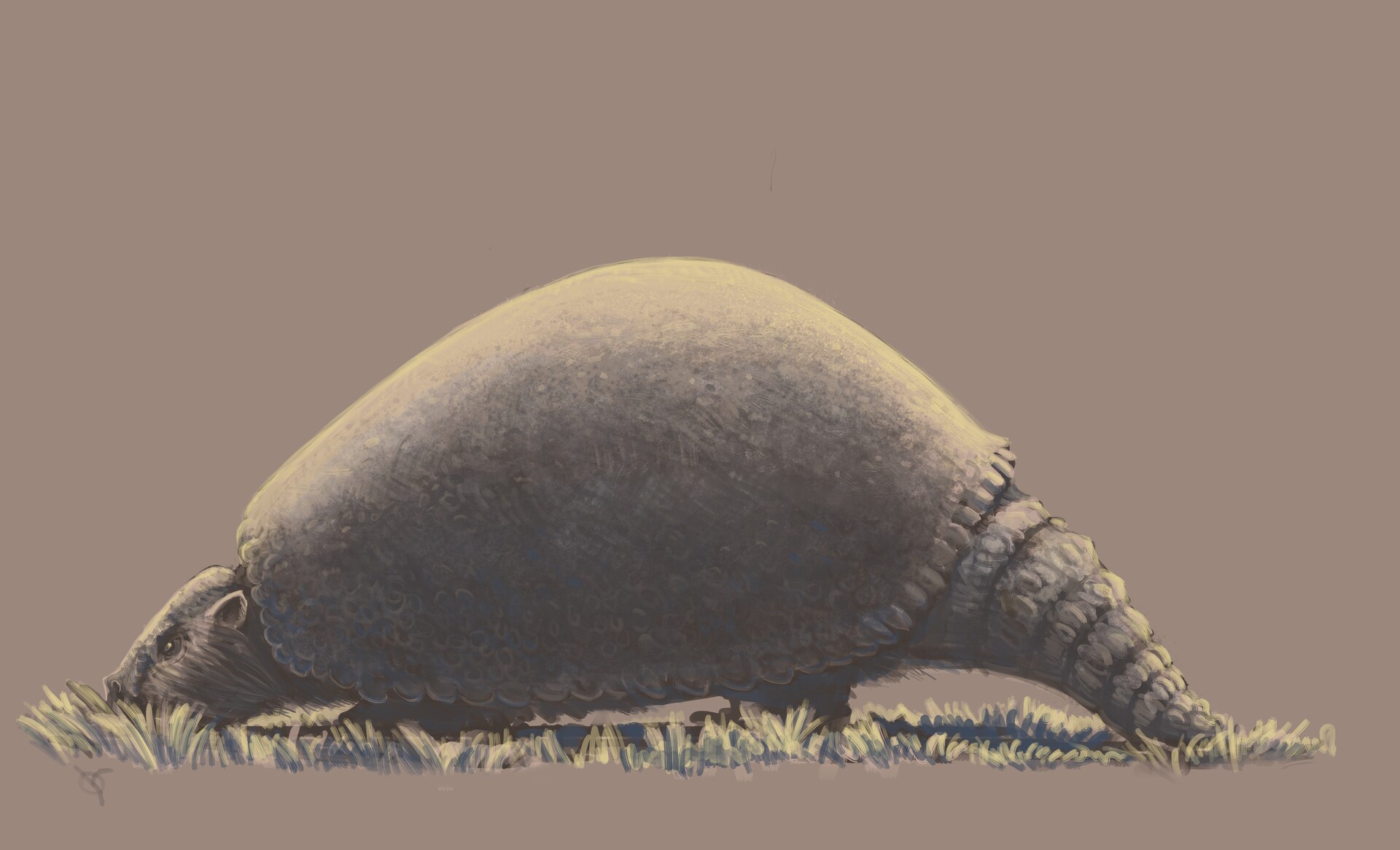 Glyptodon Vs Armadillo
