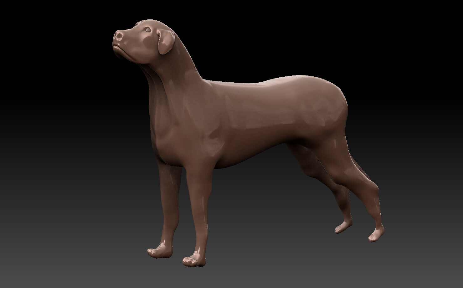 ArtStation - RHODESIAN RIDGEBACK DOG MODEL