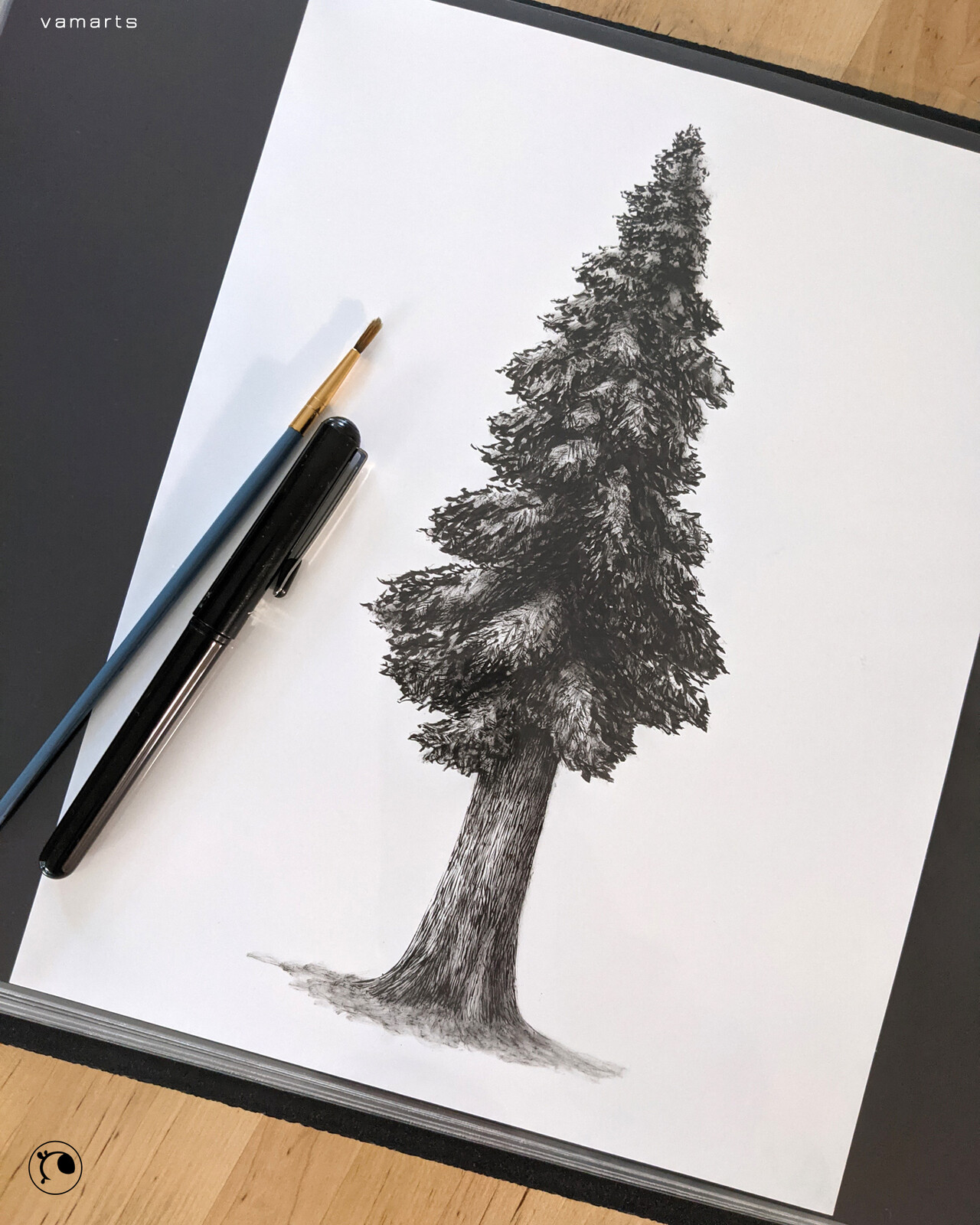 VAM - Cedar tree ink drawing