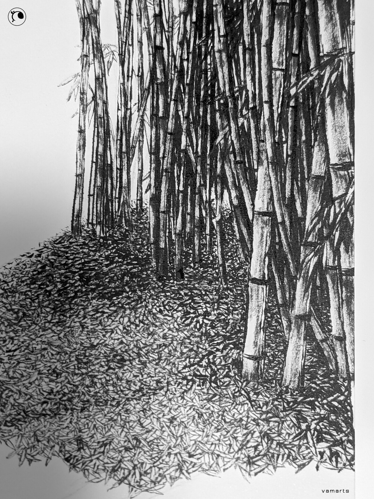 bamboo drawing pencil tutorial