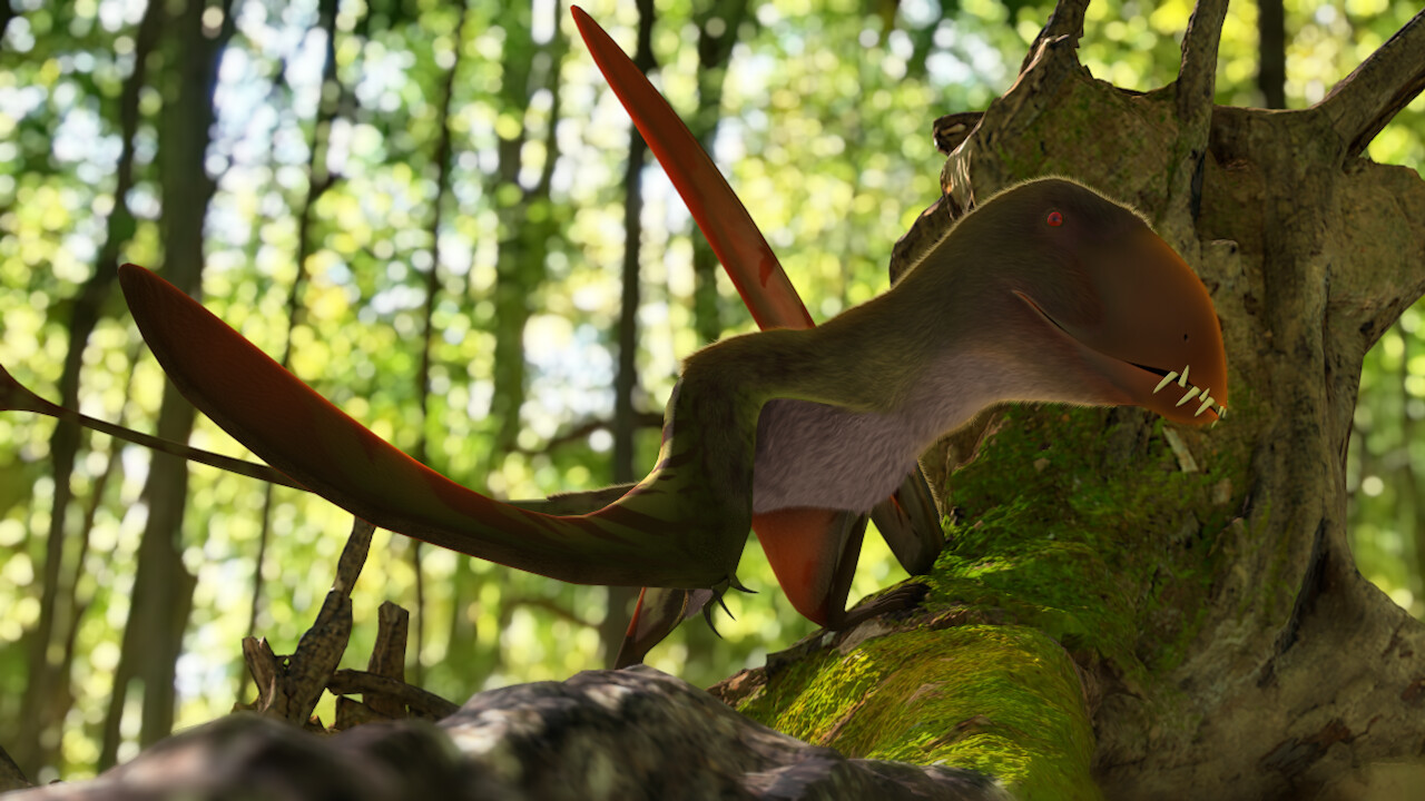 ArtStation - Dimorphodon