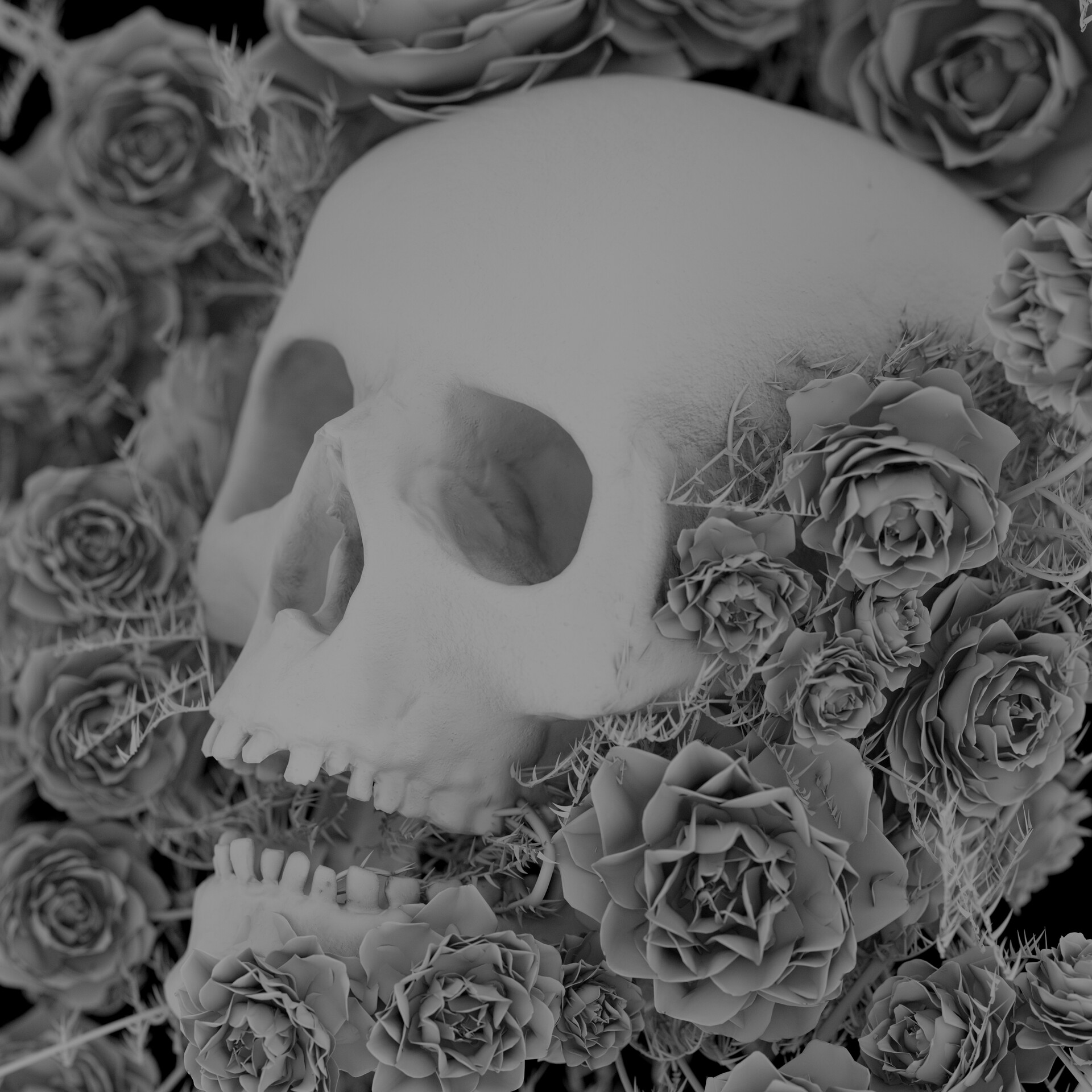 Tom Pleysier - Flower Skull