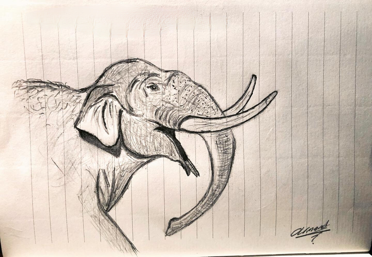 ArtStation - Primelephas gomphotheroides