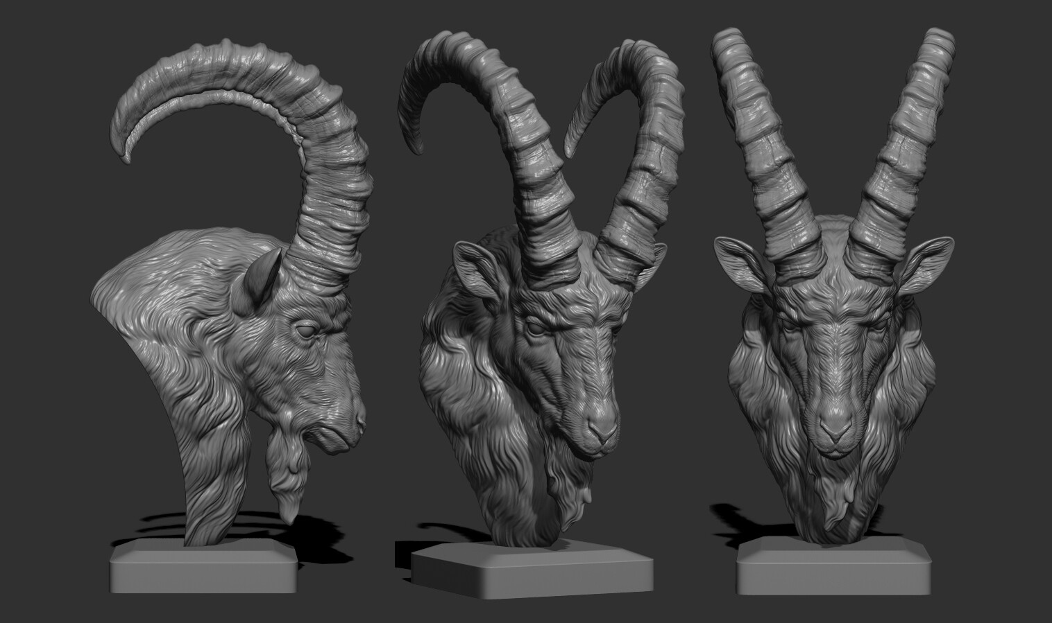 ArtStation - Ibex goat head