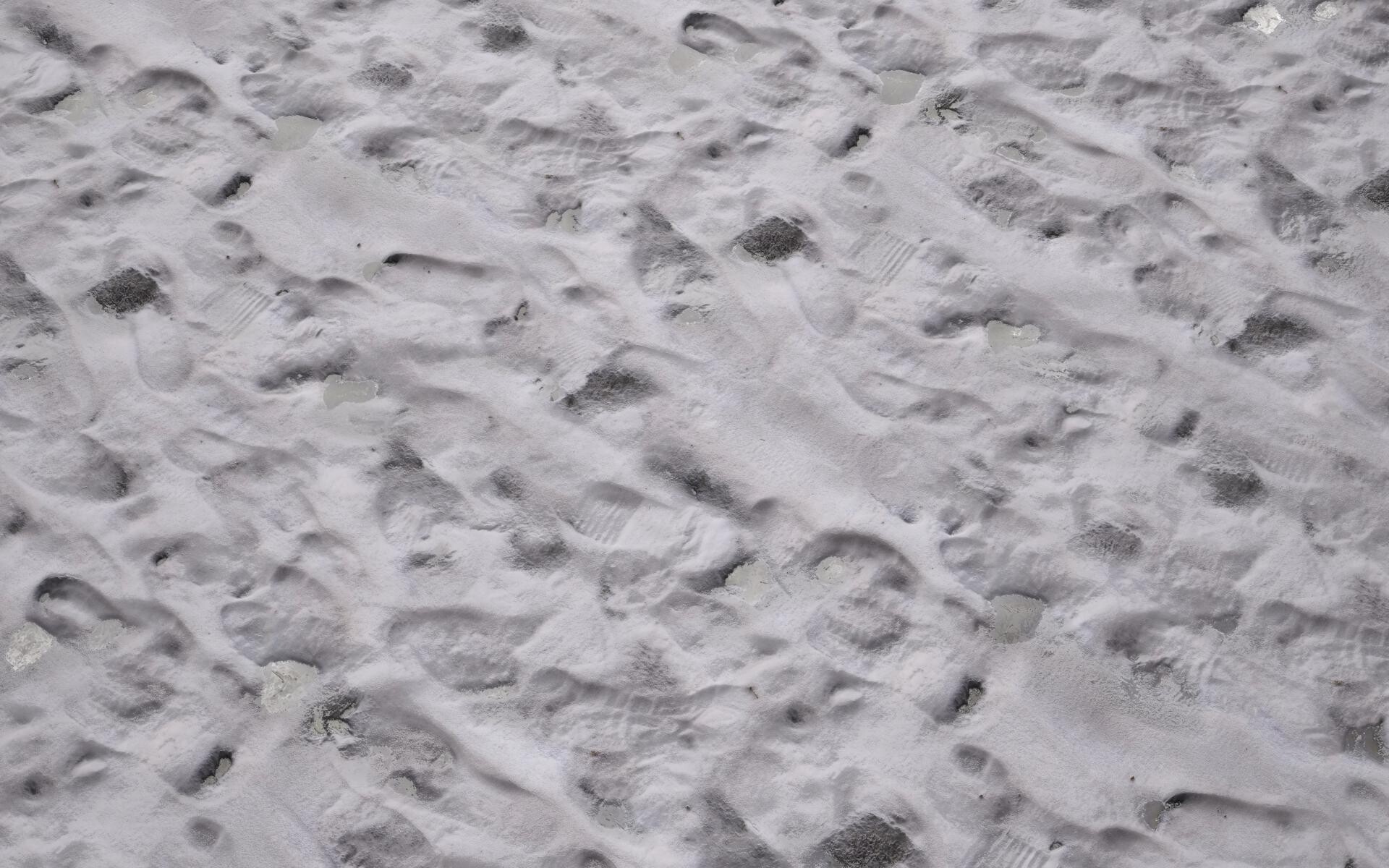 ArtStation - Snow Footprint scan material