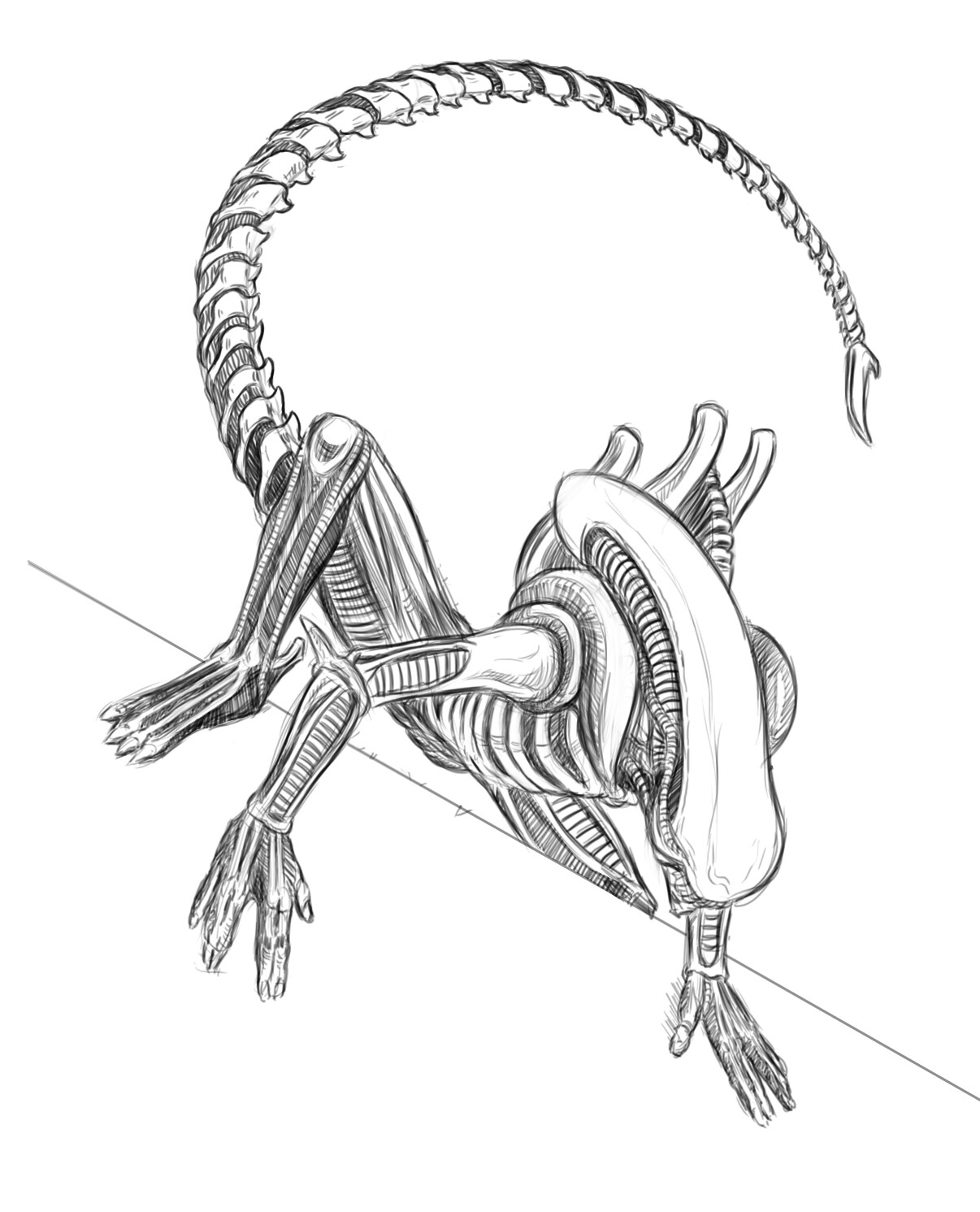 ArtStation - Alientrekwars: Revised Alien Sketch