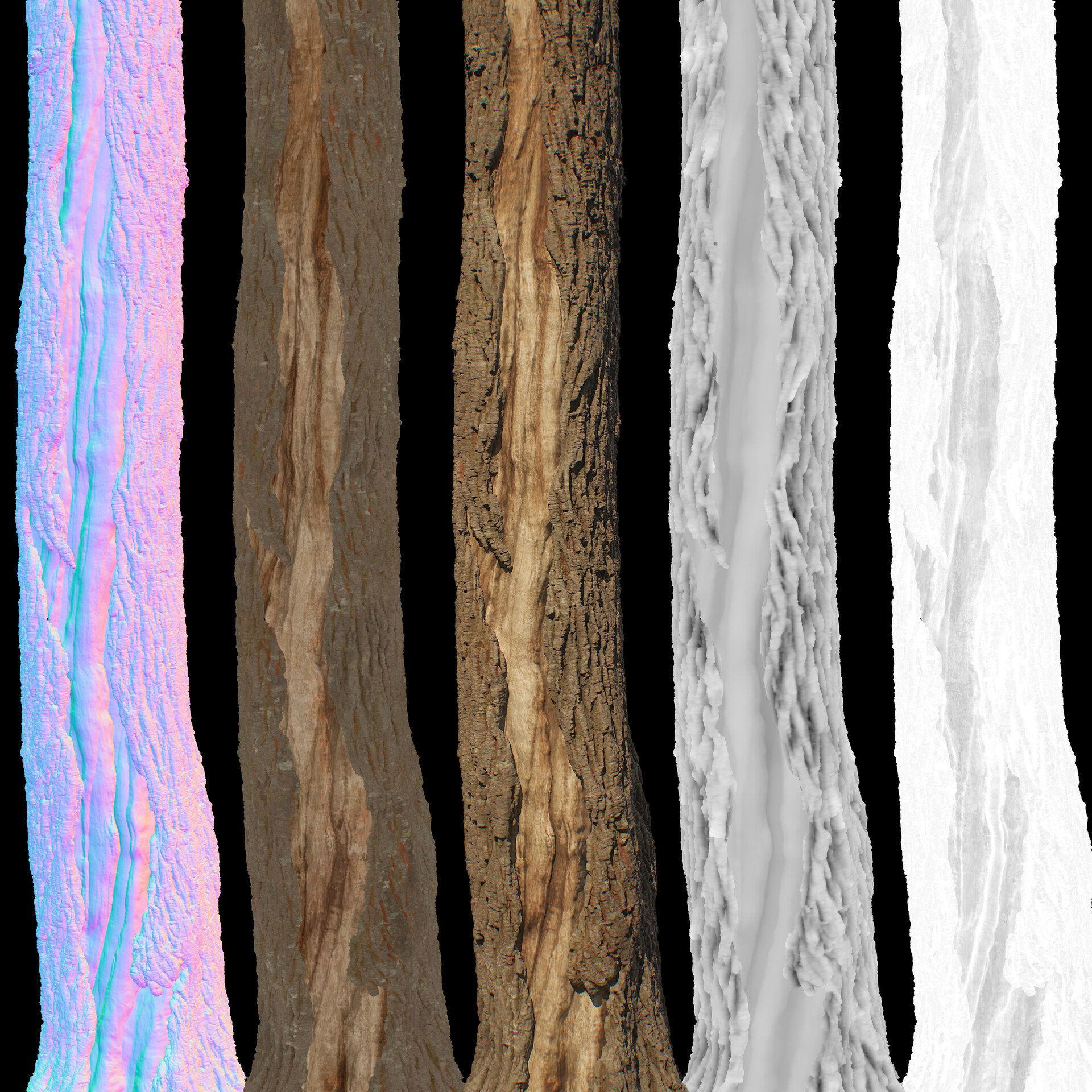 Max Kutsenko - Stripped bark