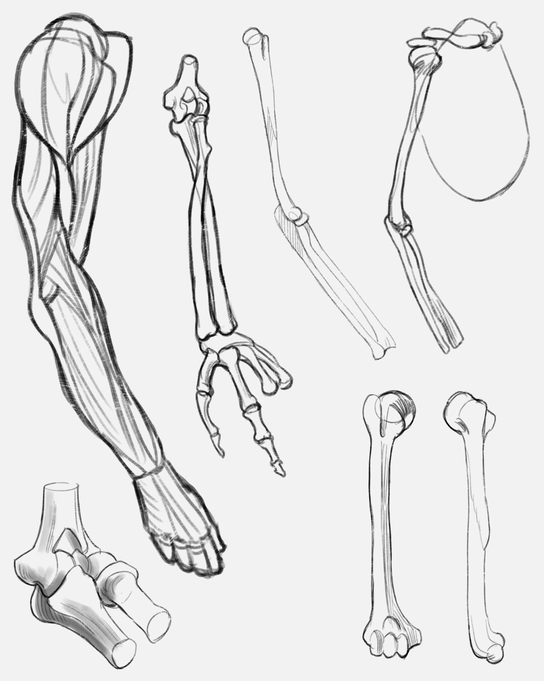 ArtStation - Upper limbs