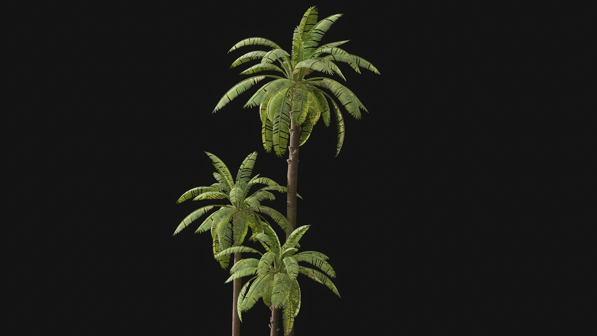 ArtStation - Palm Tree