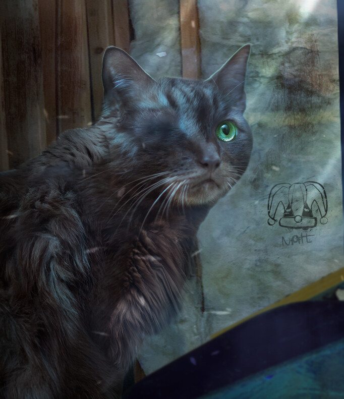 ArtStation - Bear the cat