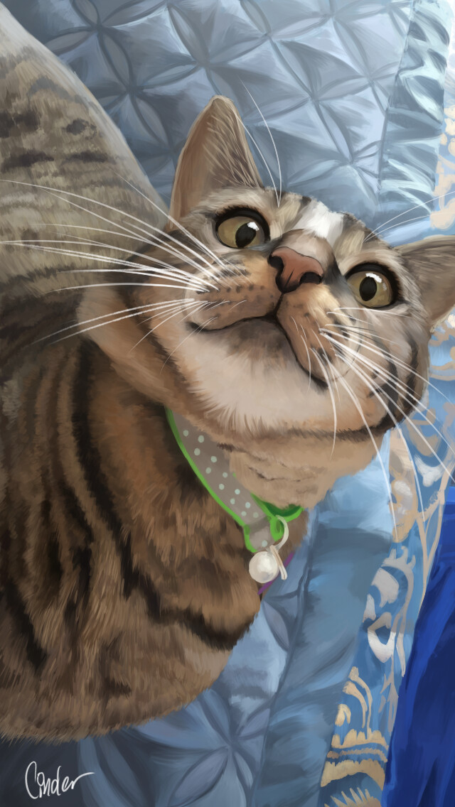 ArtStation - Cat Digital Painting