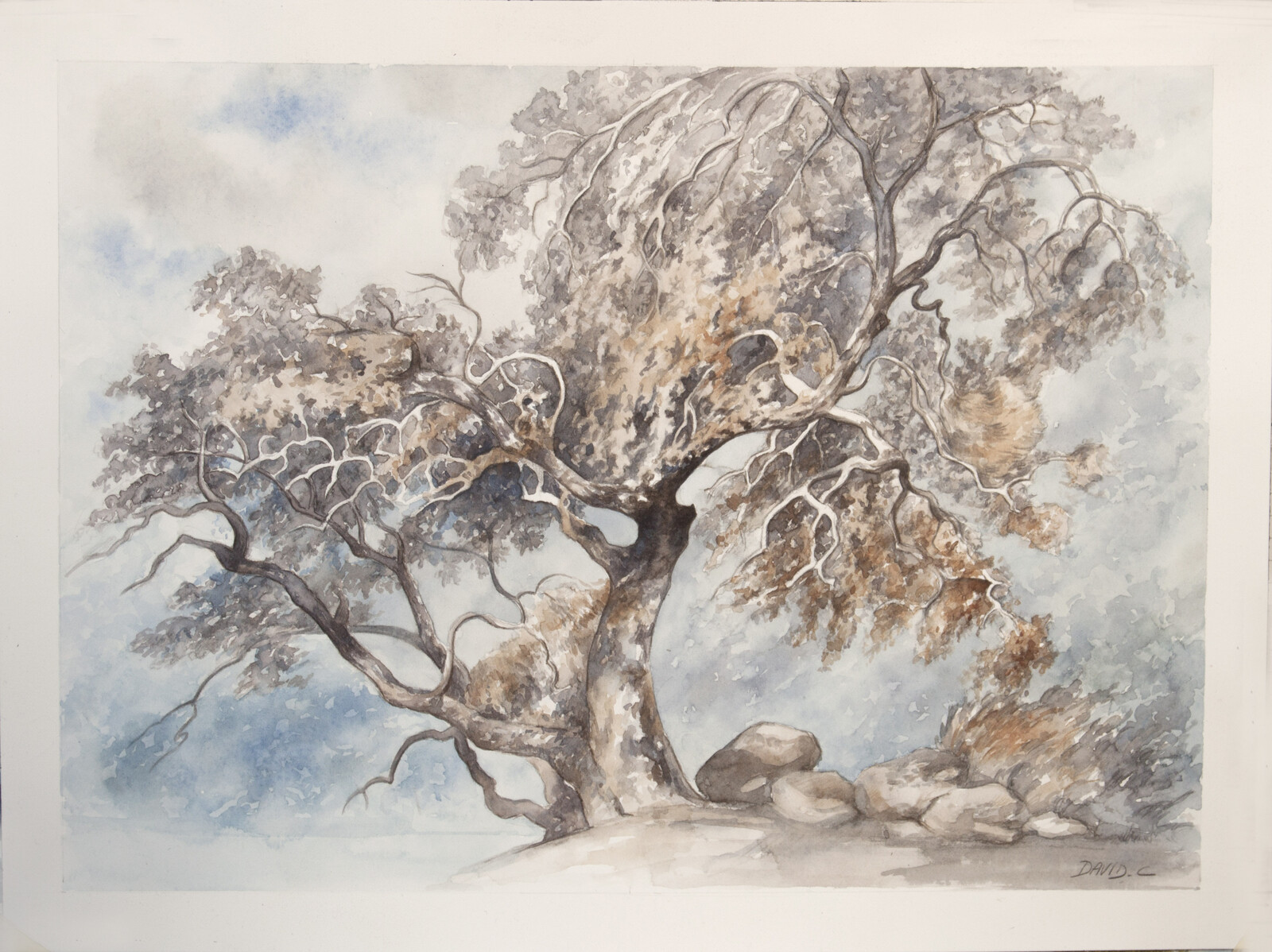 Claire David - A great tree from Turner
