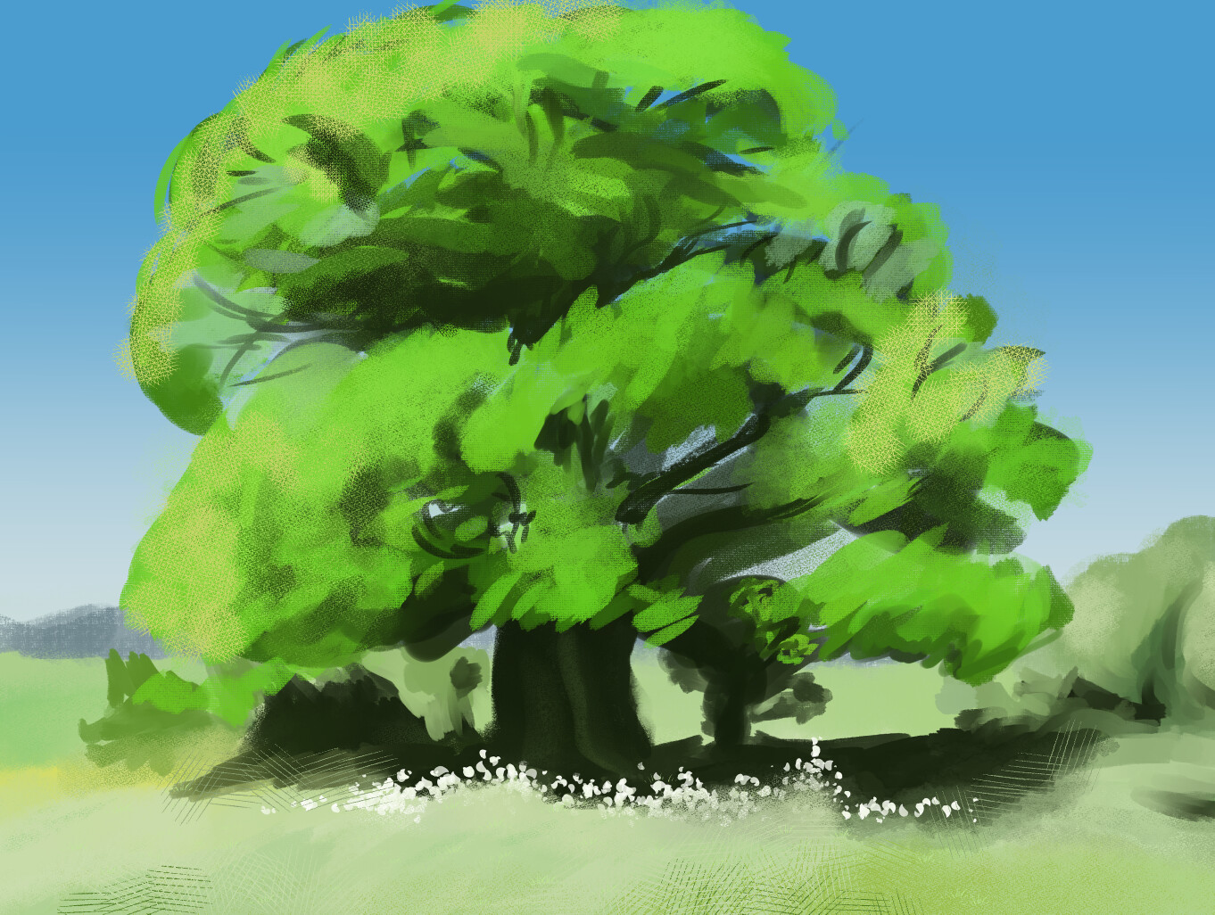 ArtStation - Tree studies