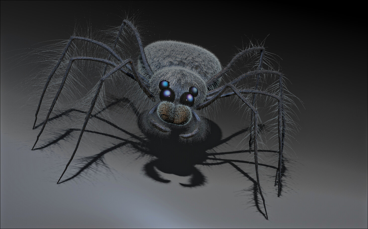 ArtStation - Lizzie the spider (study)