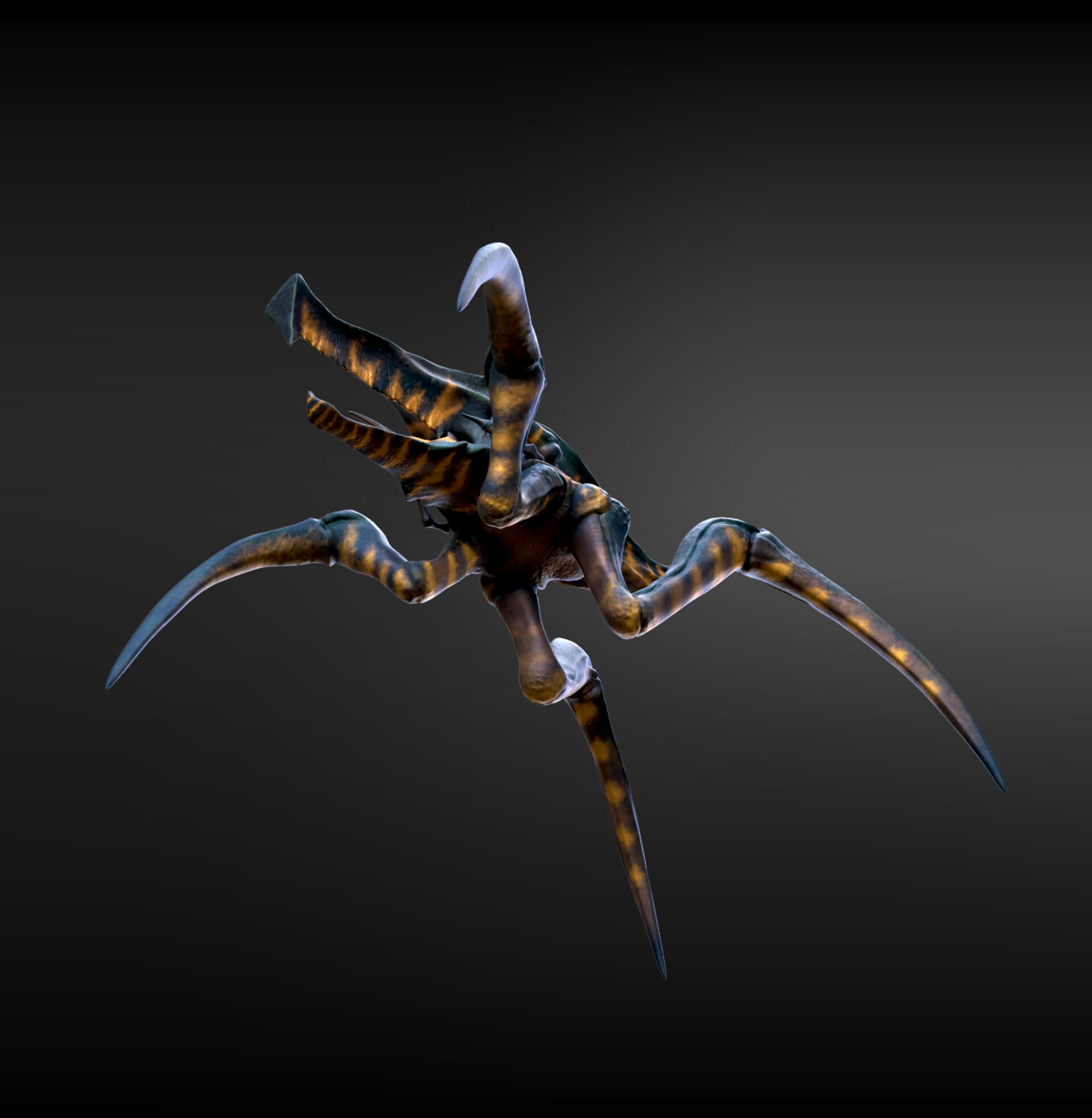 Laura Fossati Díaz - Arachnid Warrior Bug / 3D