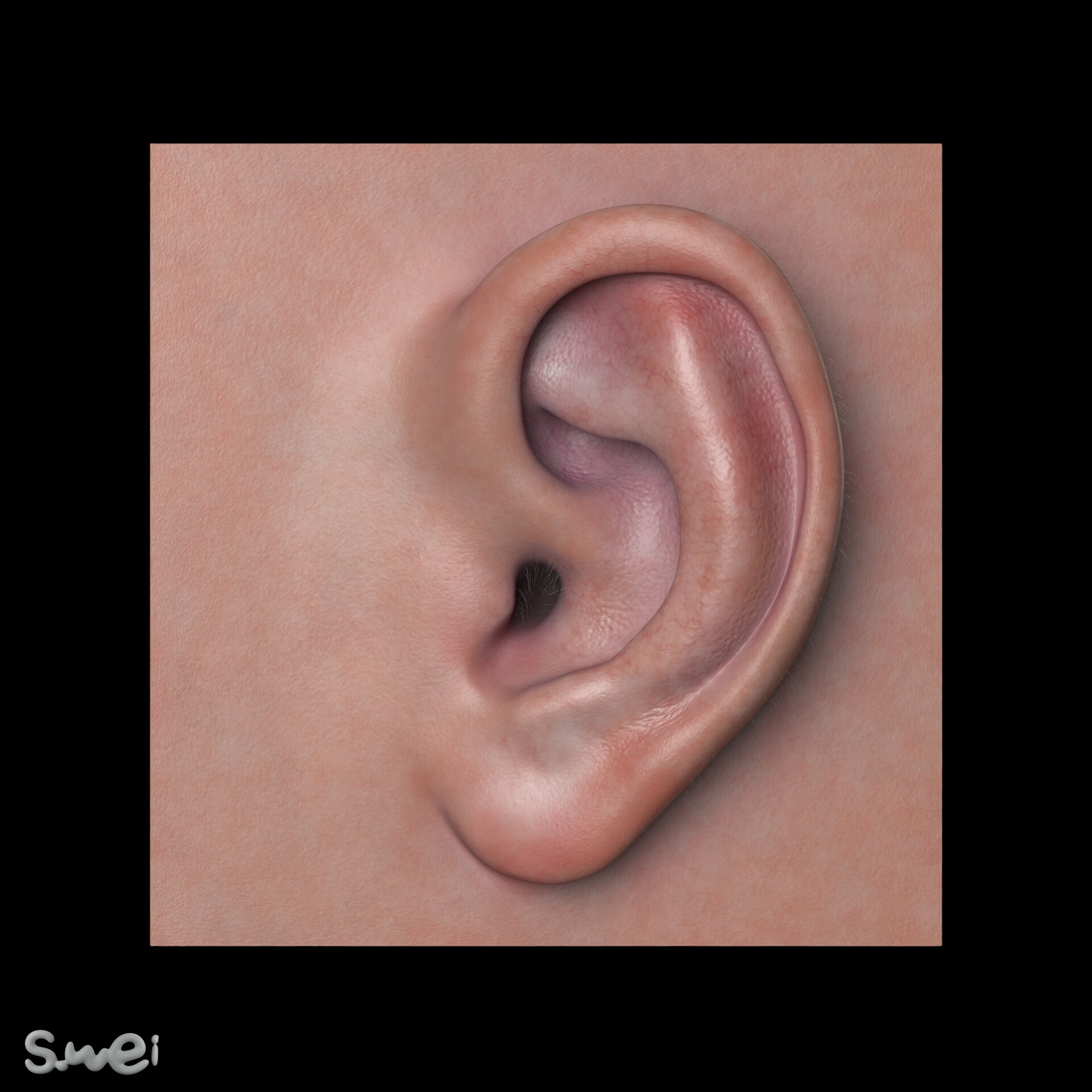 ArtStation - 3D digital ear