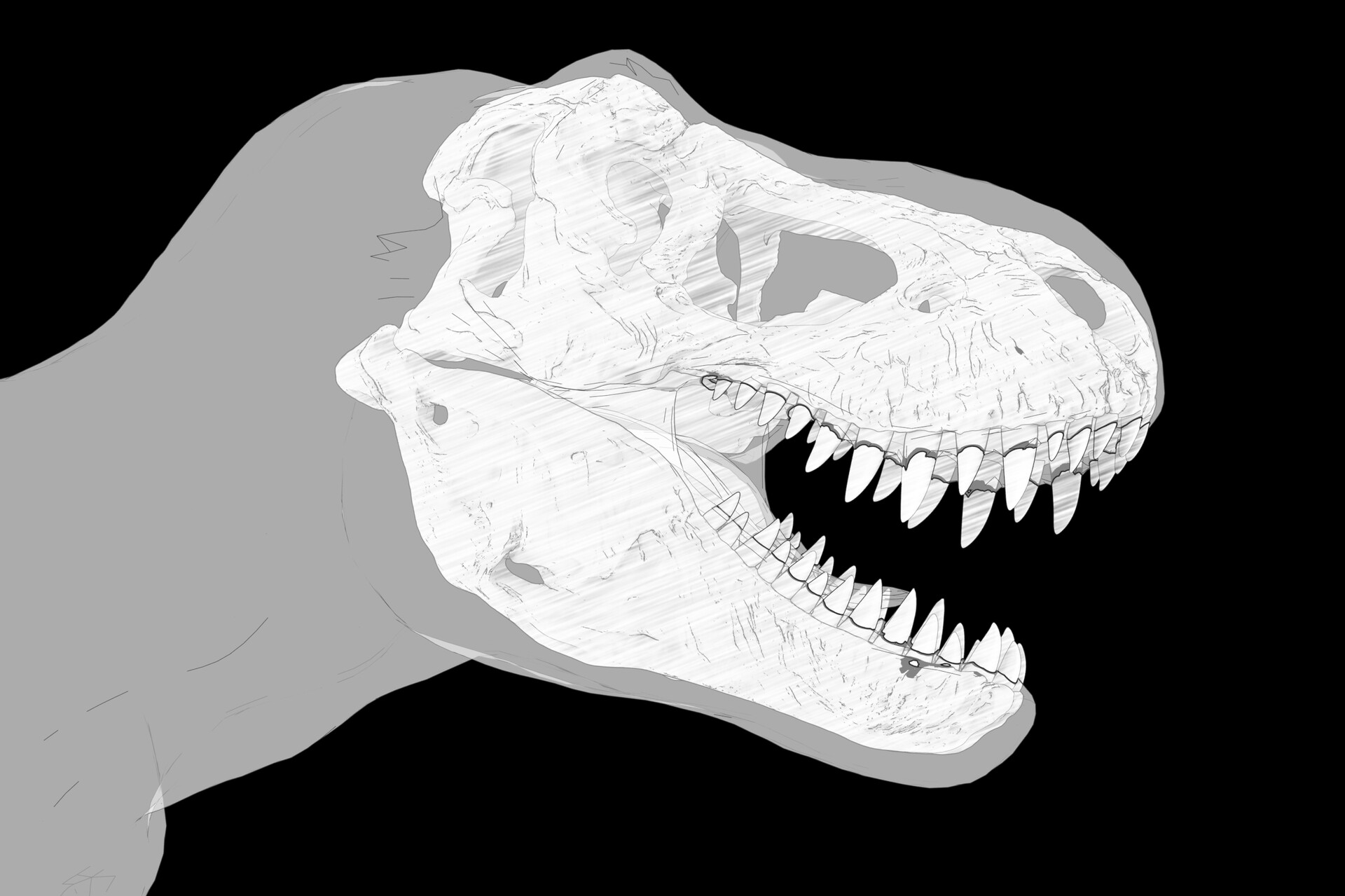 how to draw jurassic park t rex head