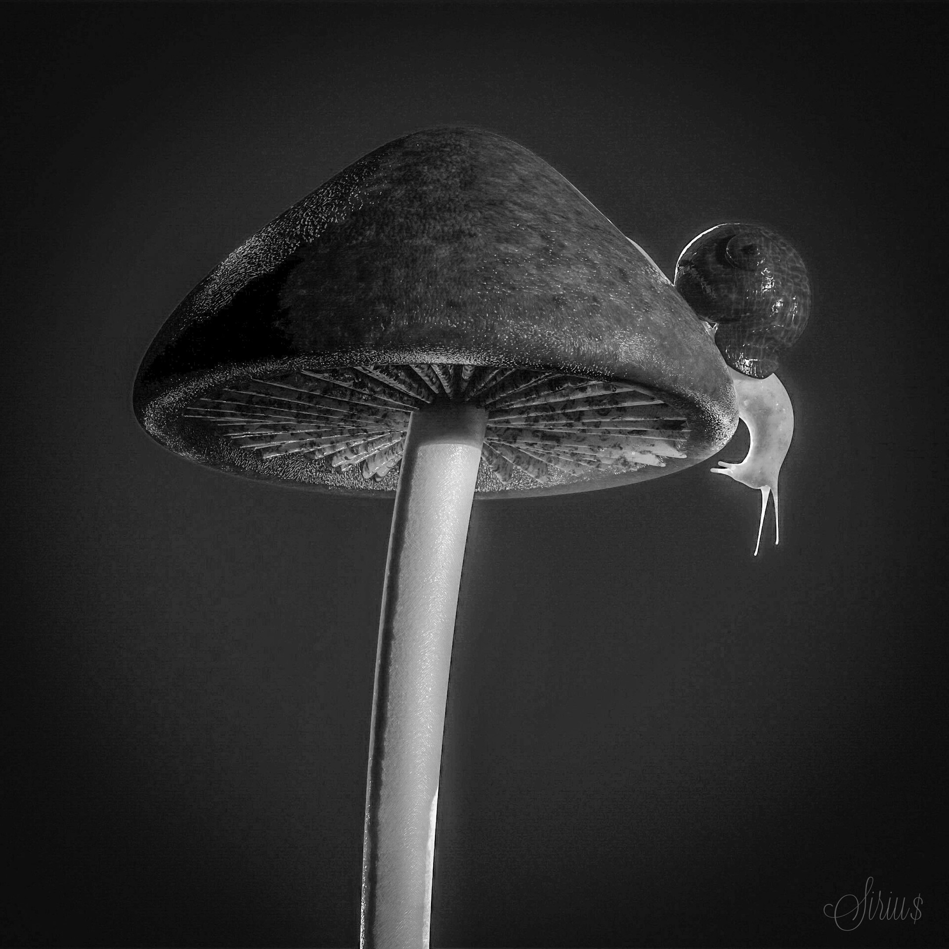 ArtStation - 🍄🐌