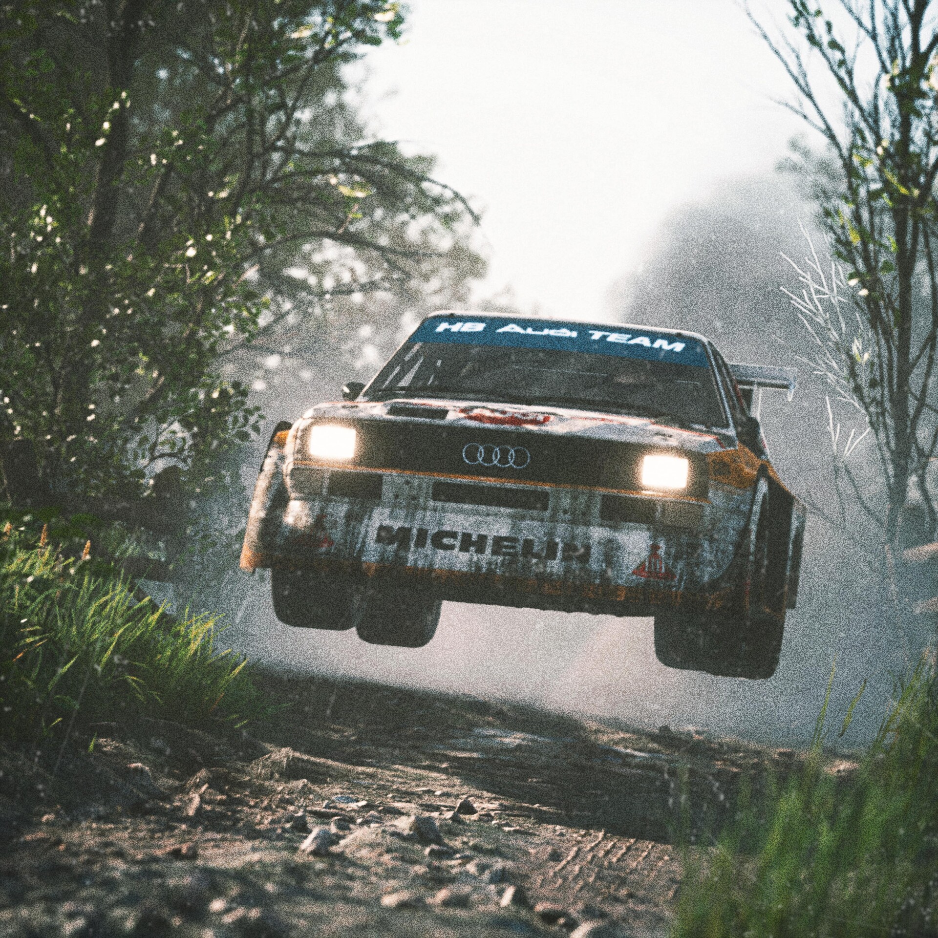 Brandon Putra - Rally Röhrl