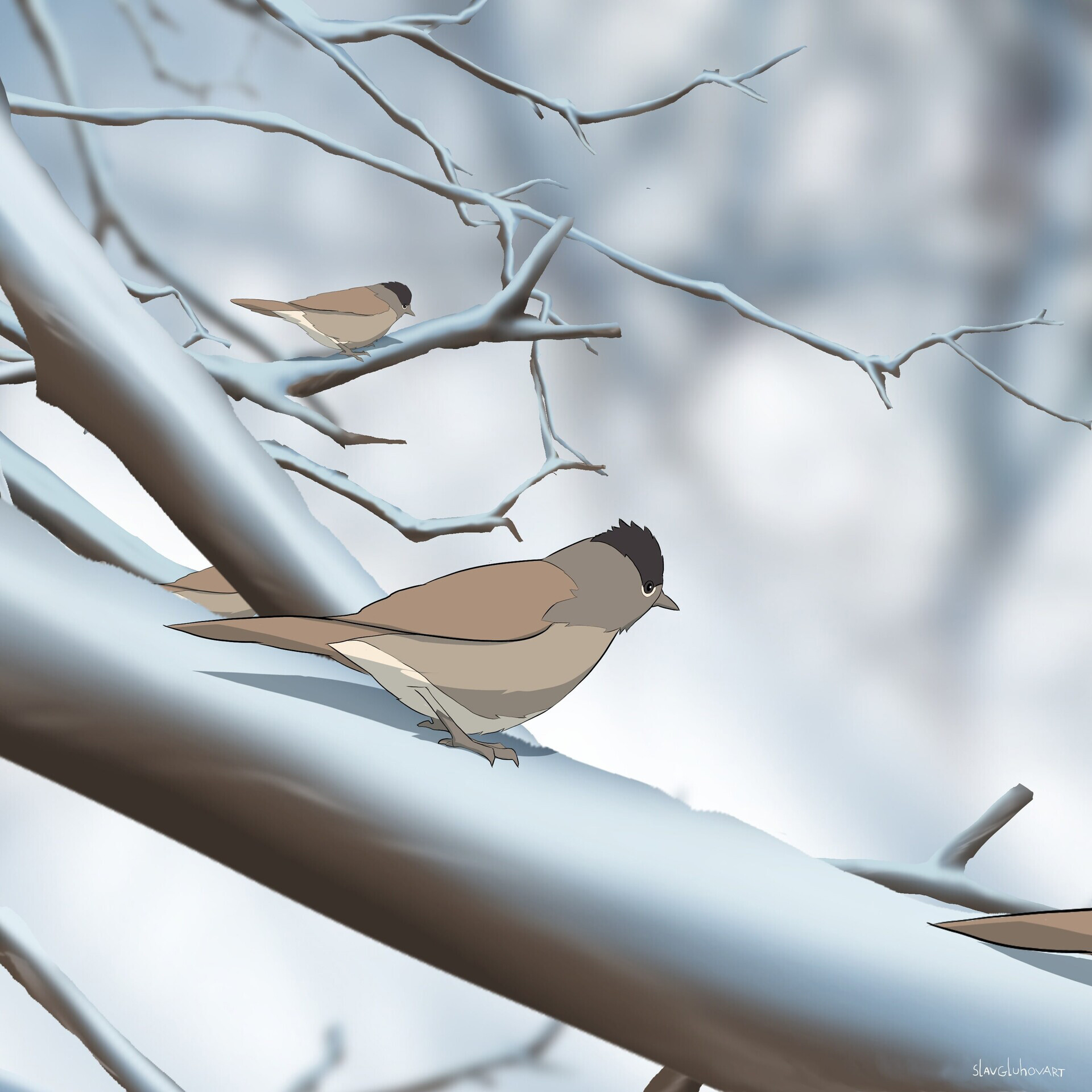 ArtStation - ptichki