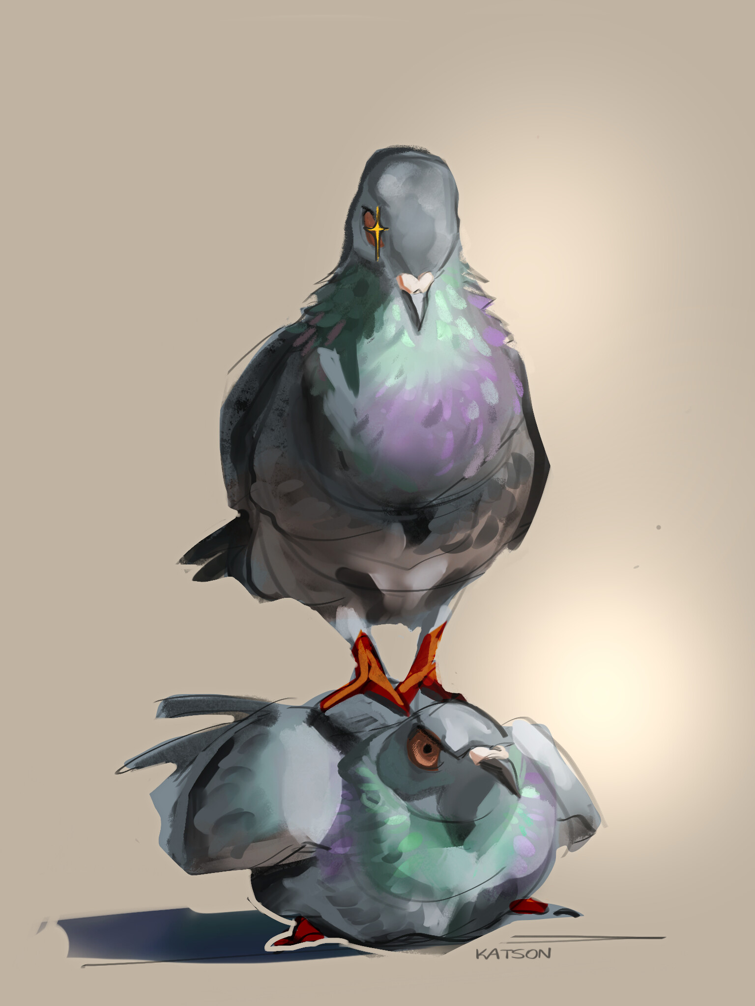 bully pigeon