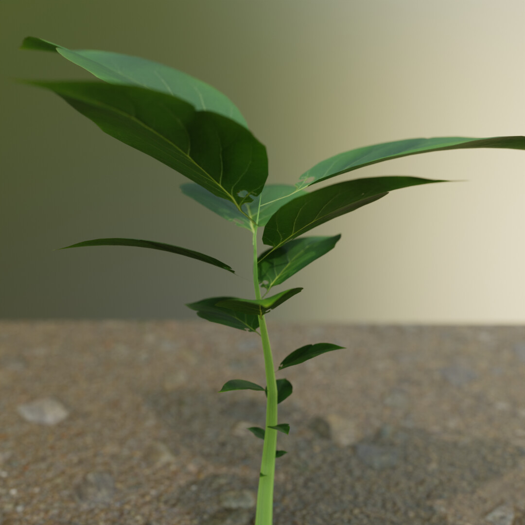 Aymara Ridgeway-Adams - Sprout Animation