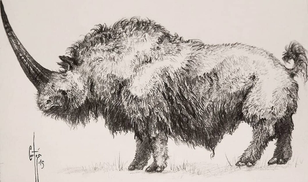 ArtStation - elasmotherium sibiricum