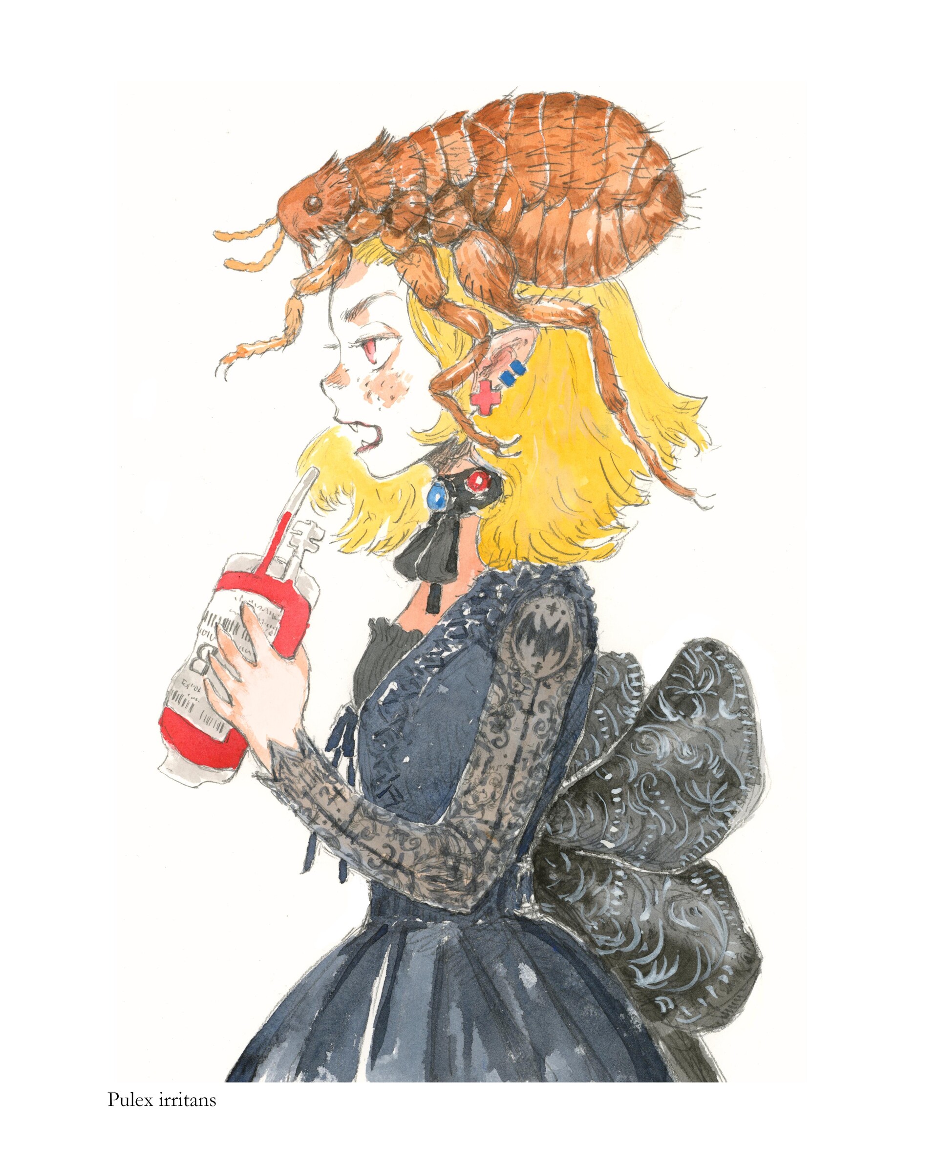 ArtStation - Pulex irritans