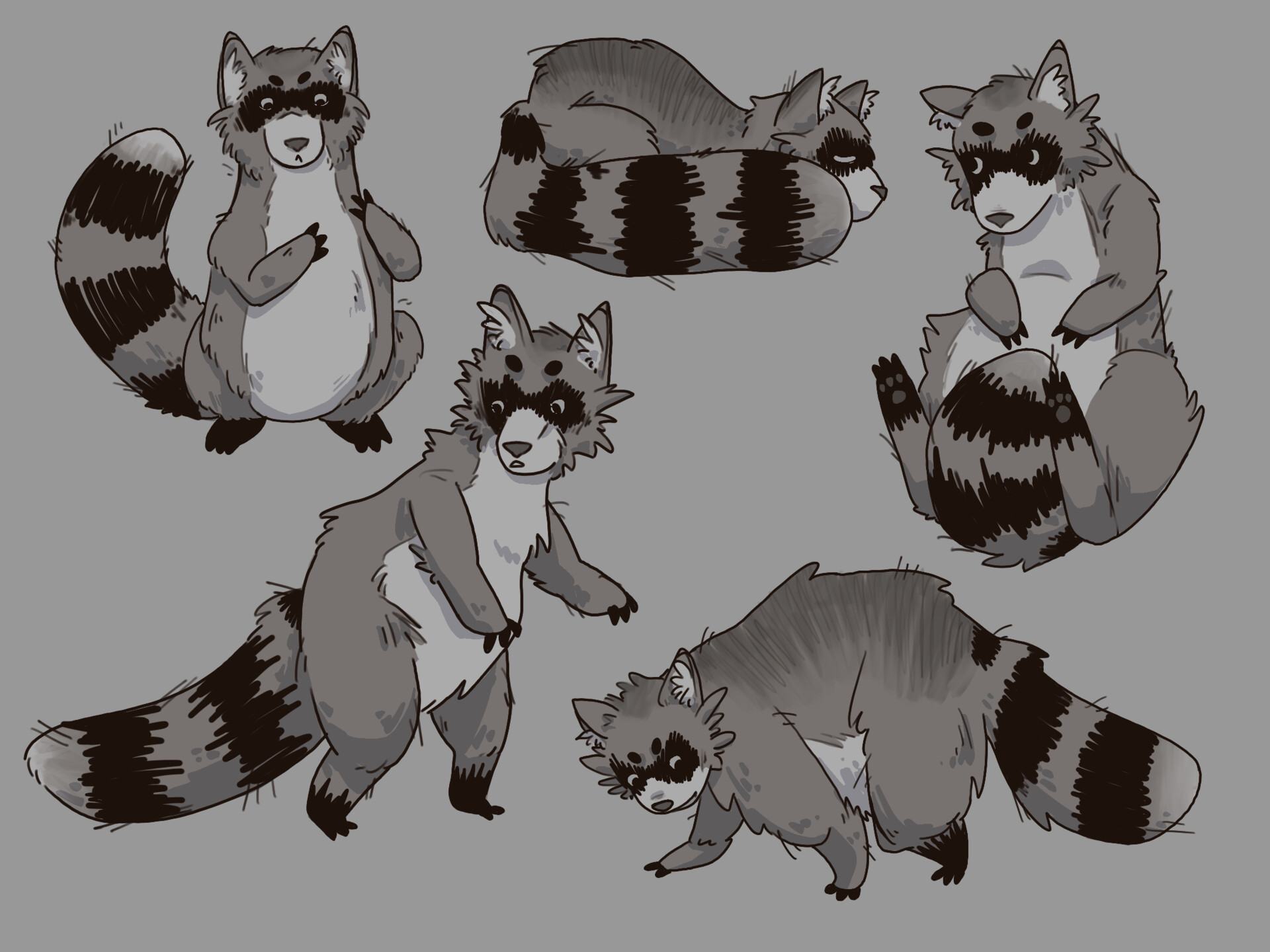 ArtStation - Raccoons