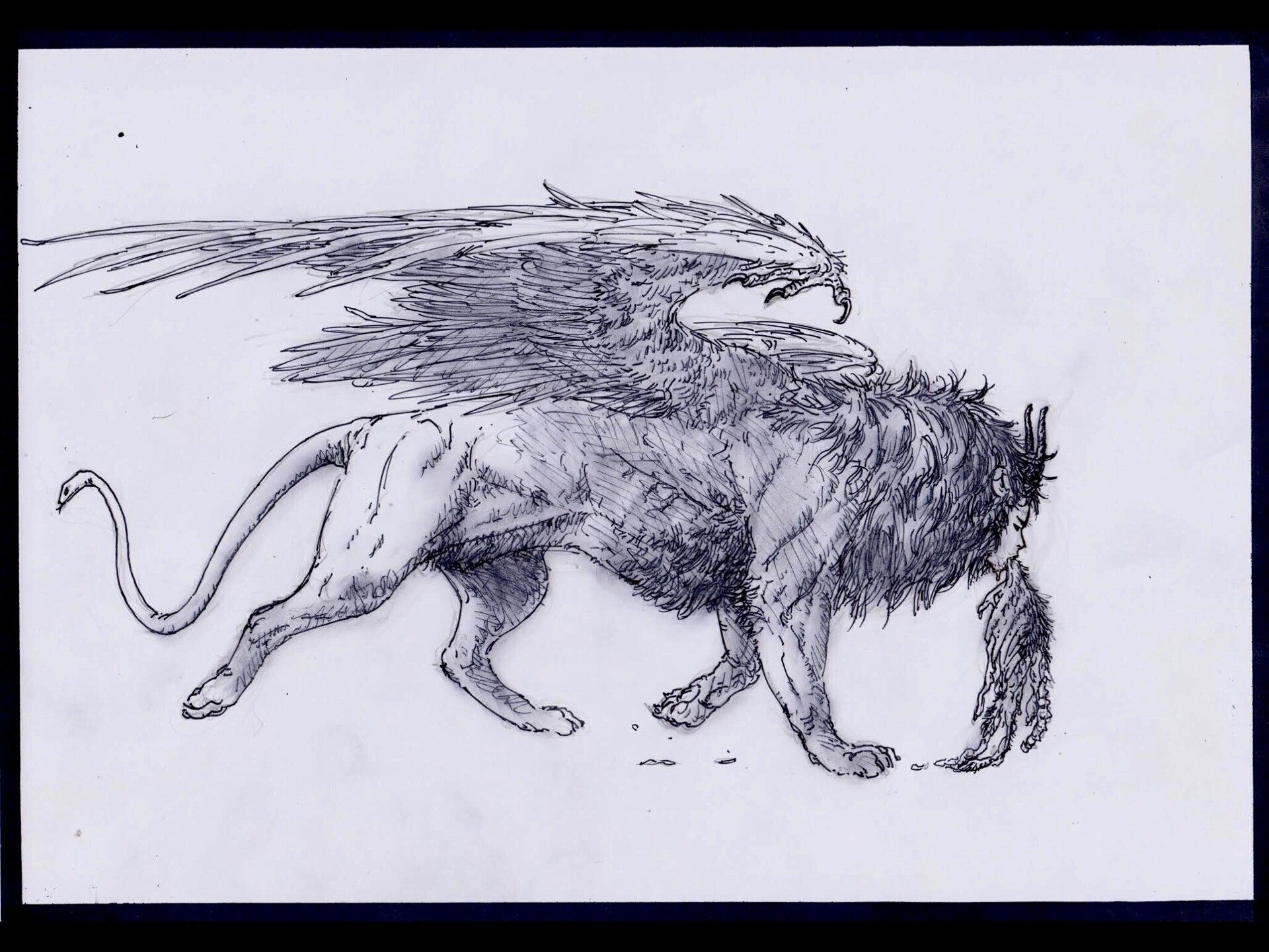 ArtStation - The predator