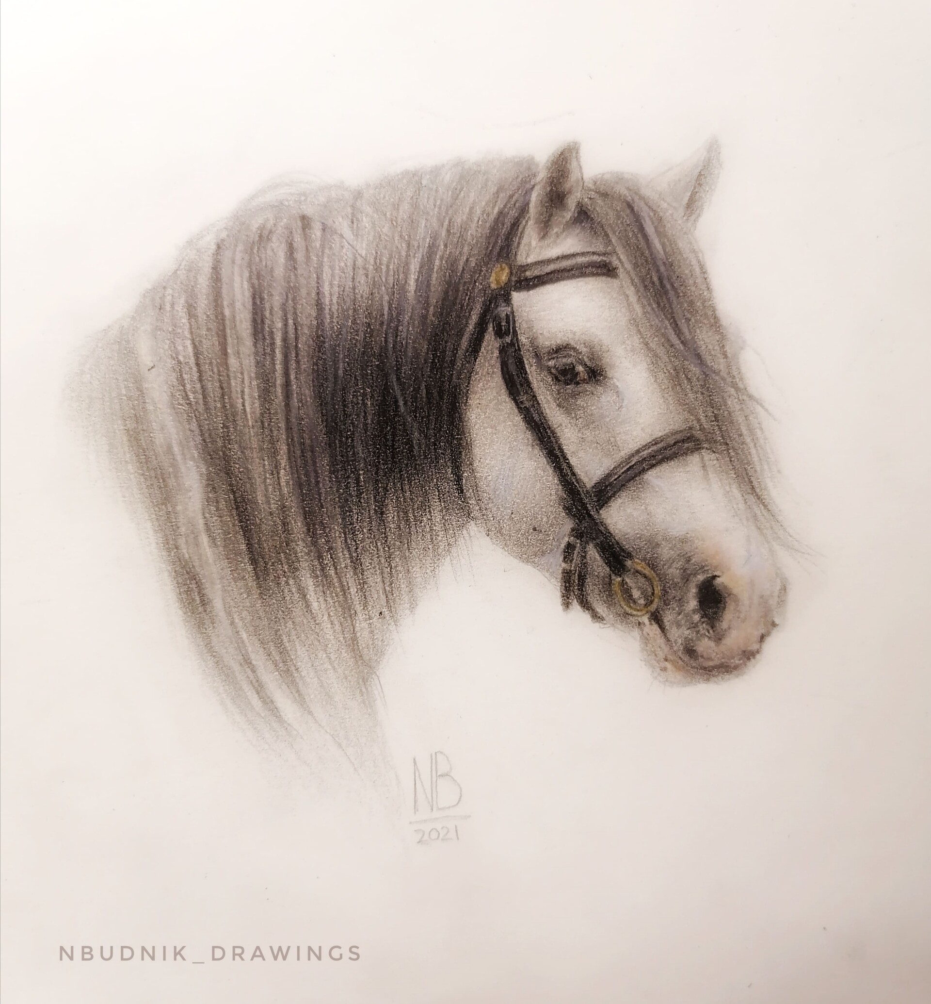 ArtStation - Welsh pony