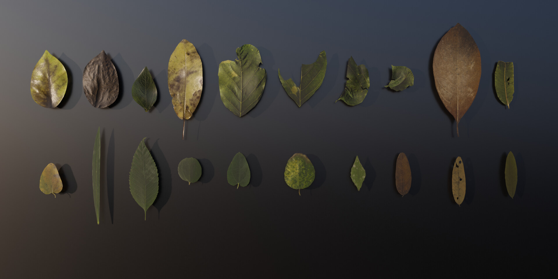 ArtStation - My Low Poly Leaves