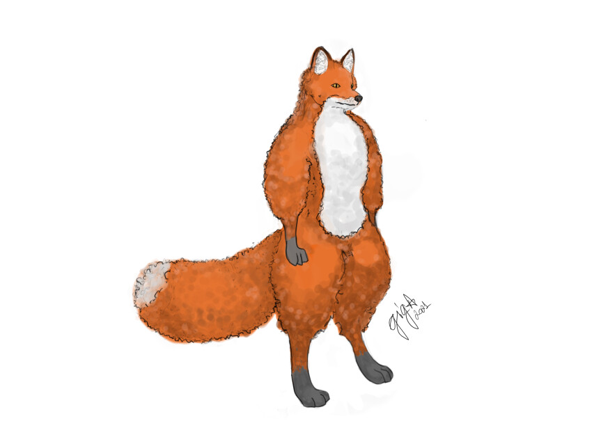 how to draw a cartoon fox standing up