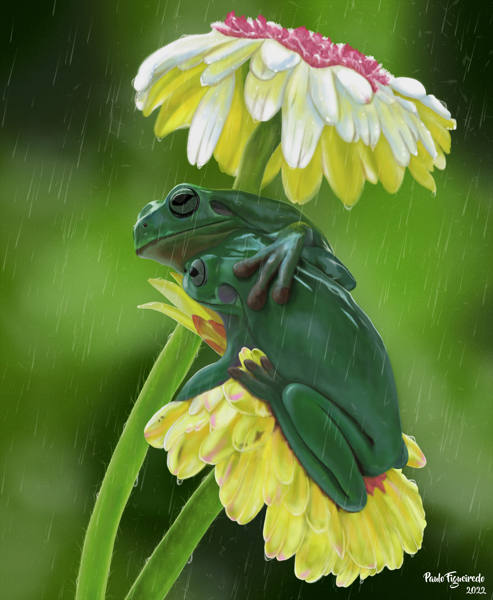 ArtStation - Two frogs using a flower as an umbrella