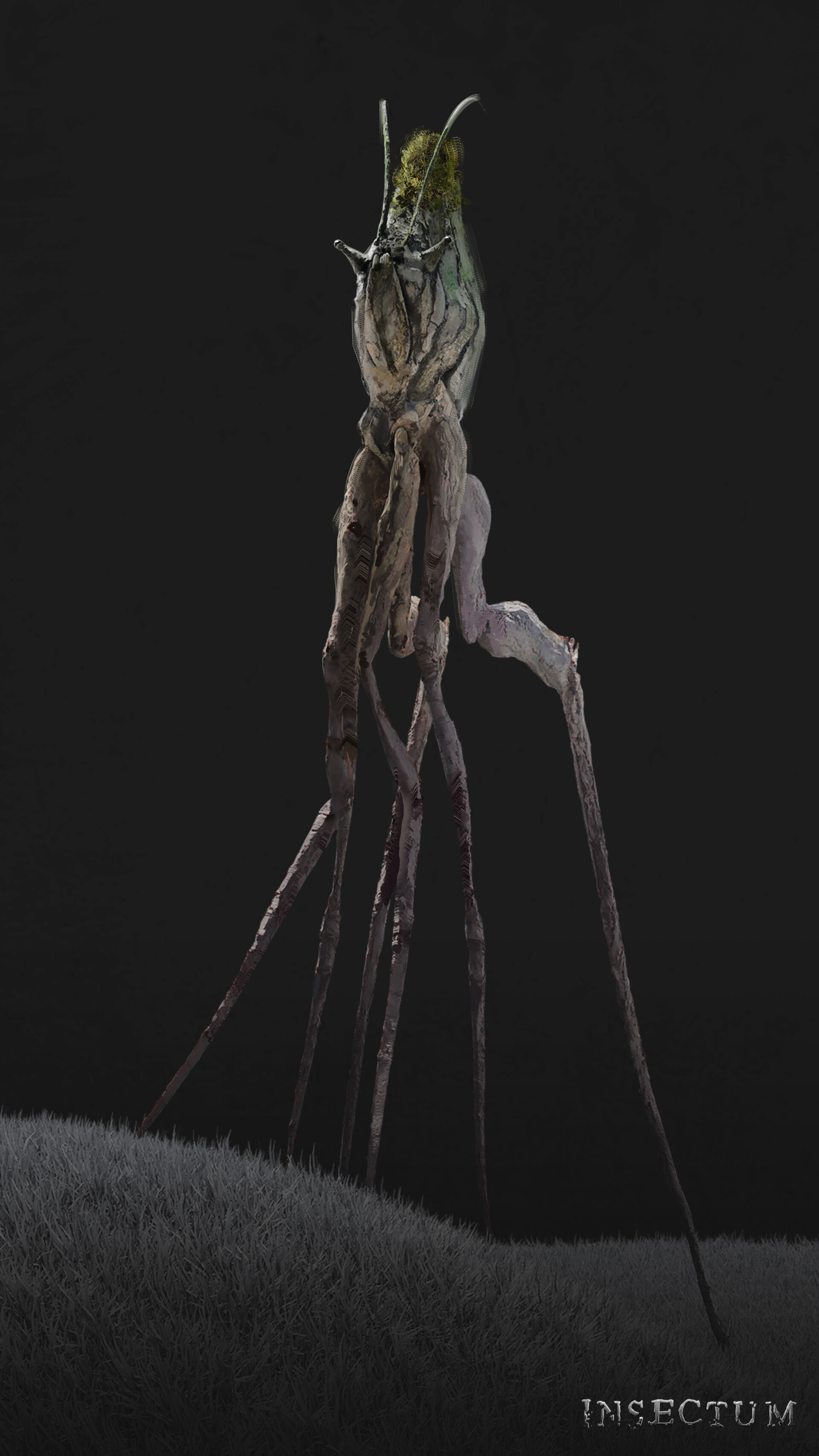 Maryse Heilig - Insectum | STRIDERS