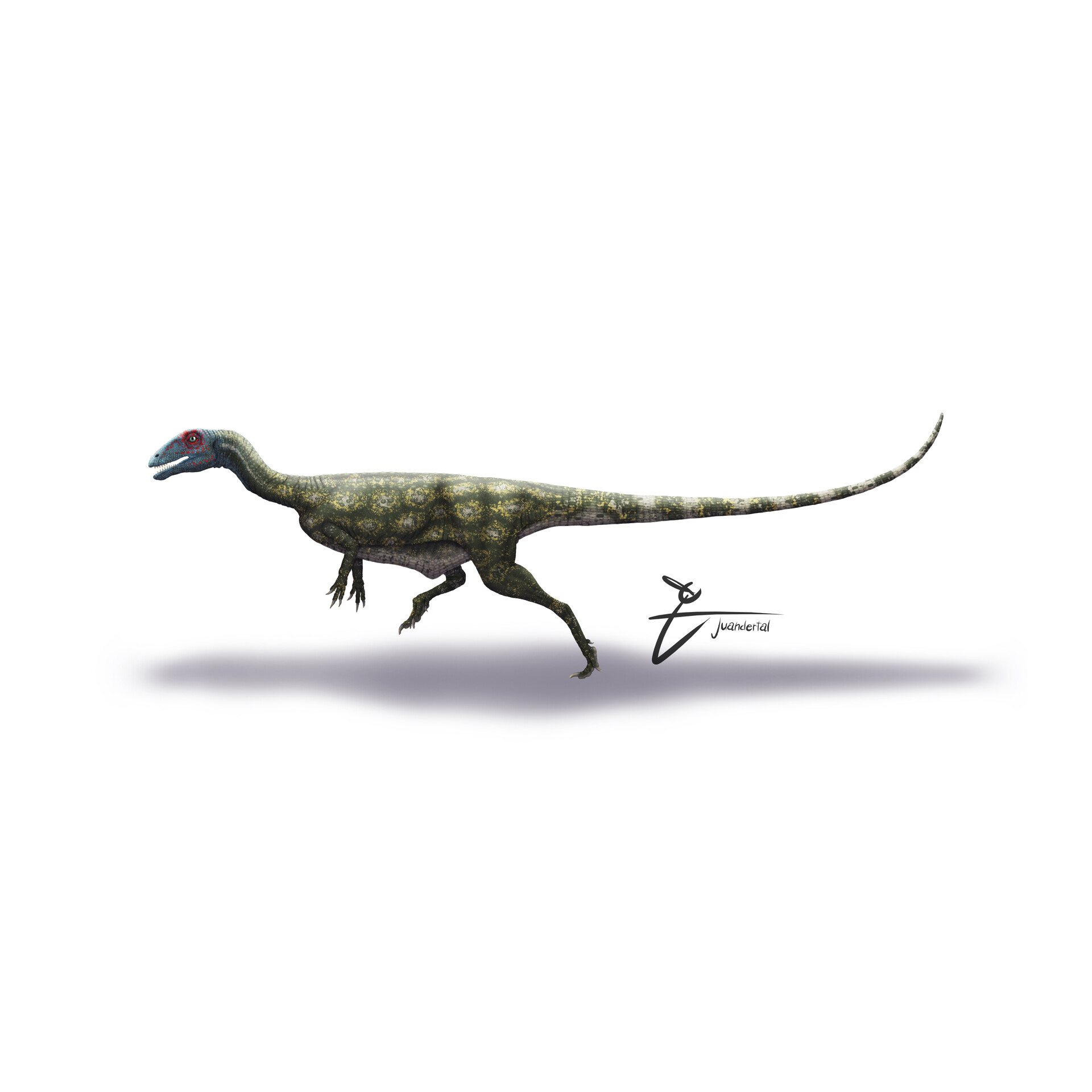 Juandertal - Fauna from Upper Cretaceous Argentina, pt. 2