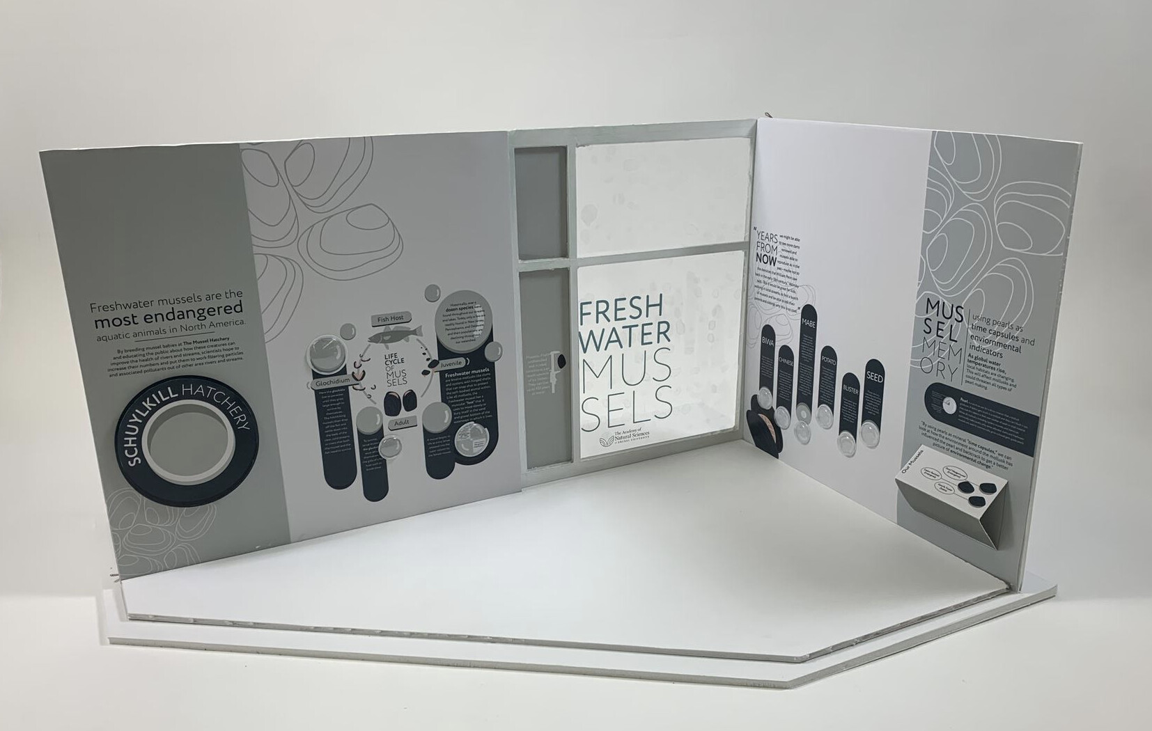 ArtStation - Visual Communication Final Project (Freshwater Mussels)