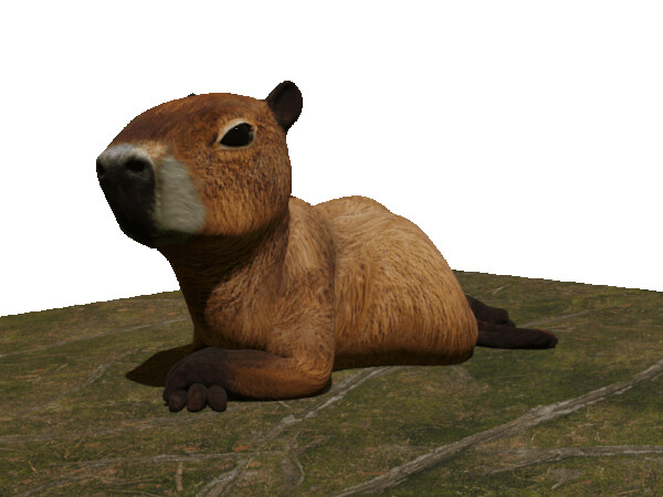 Carpincho — Capybara VRChat avatar by Camila Brugnoli — ProUser.Me