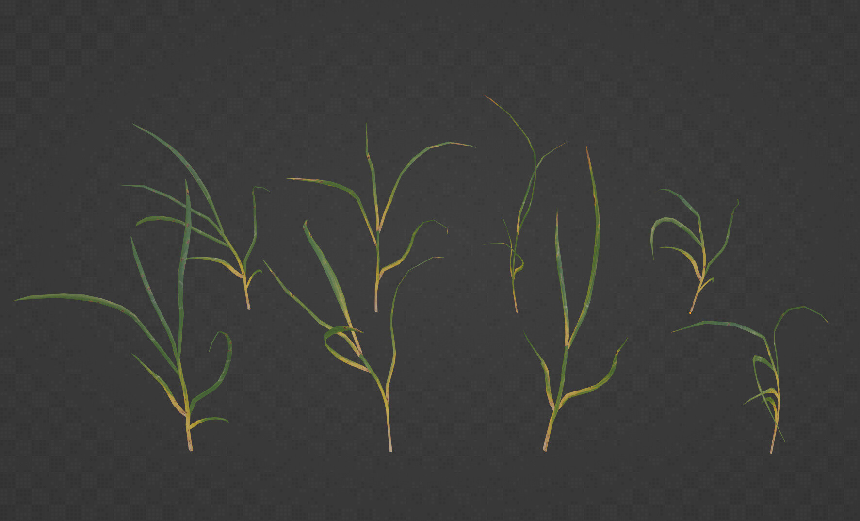 Stacy Gao - Grass landscape