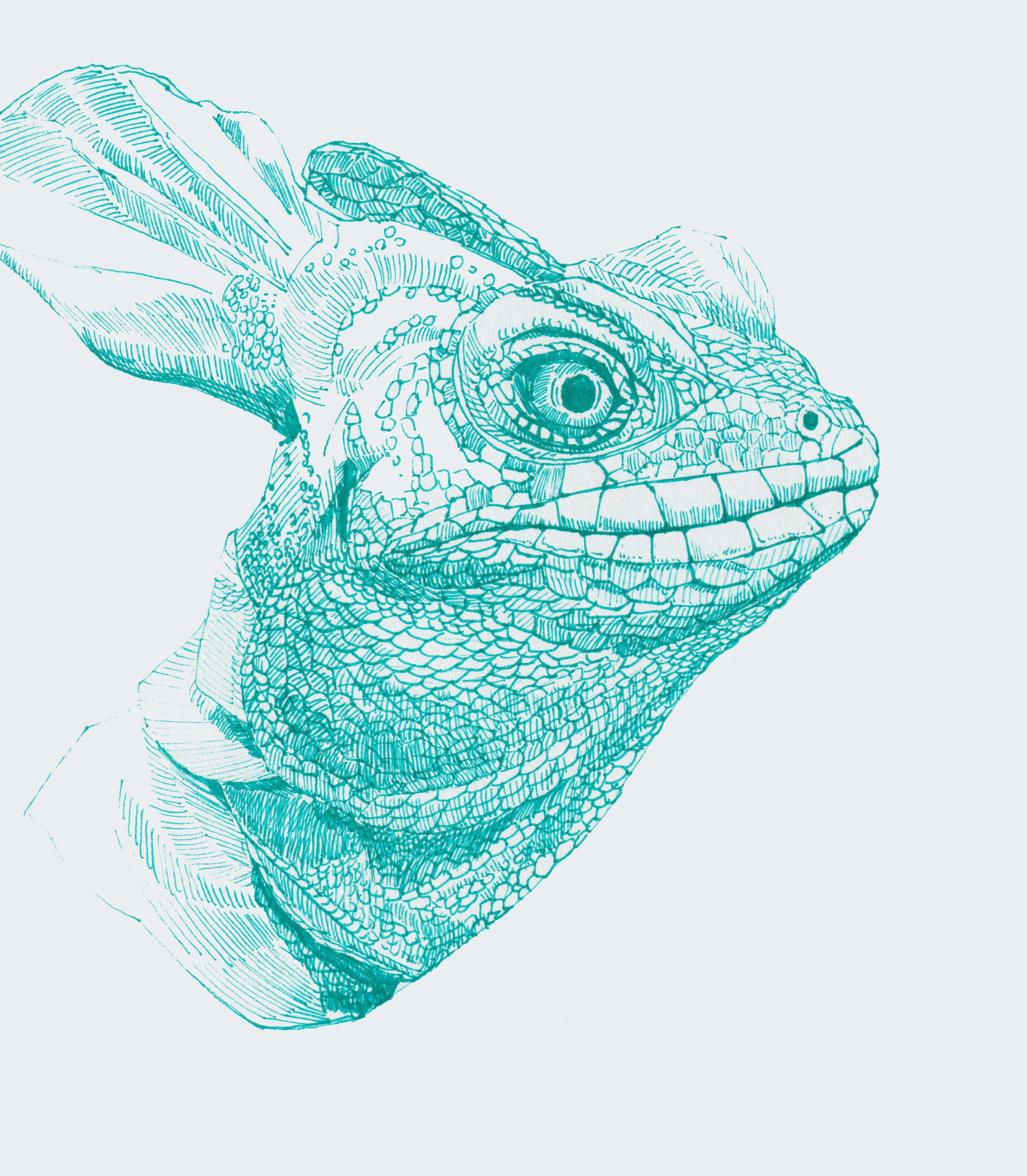 ArtStation - Lizard Lineworks