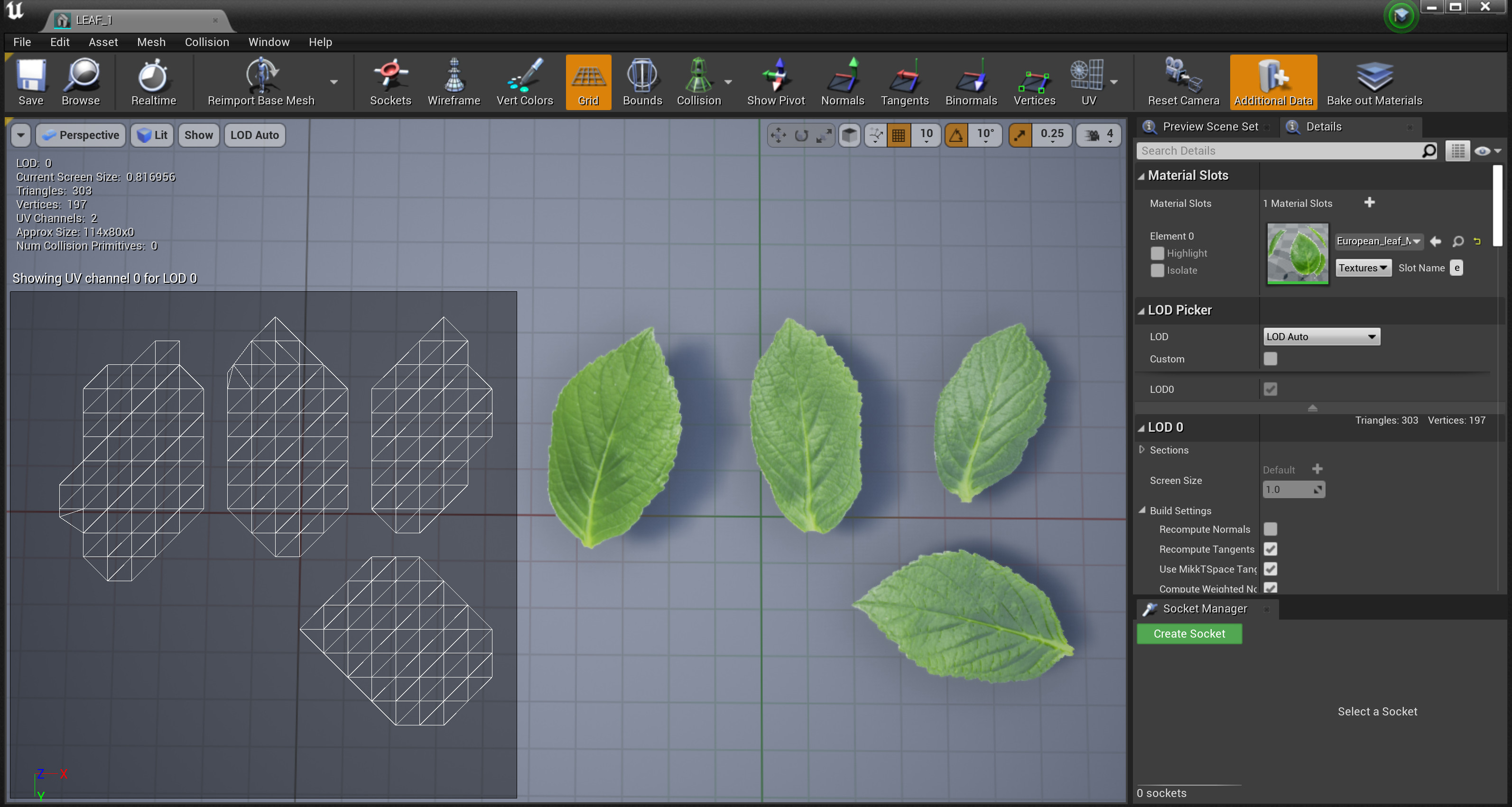 Dean Mewis - European Leaf Atlas material