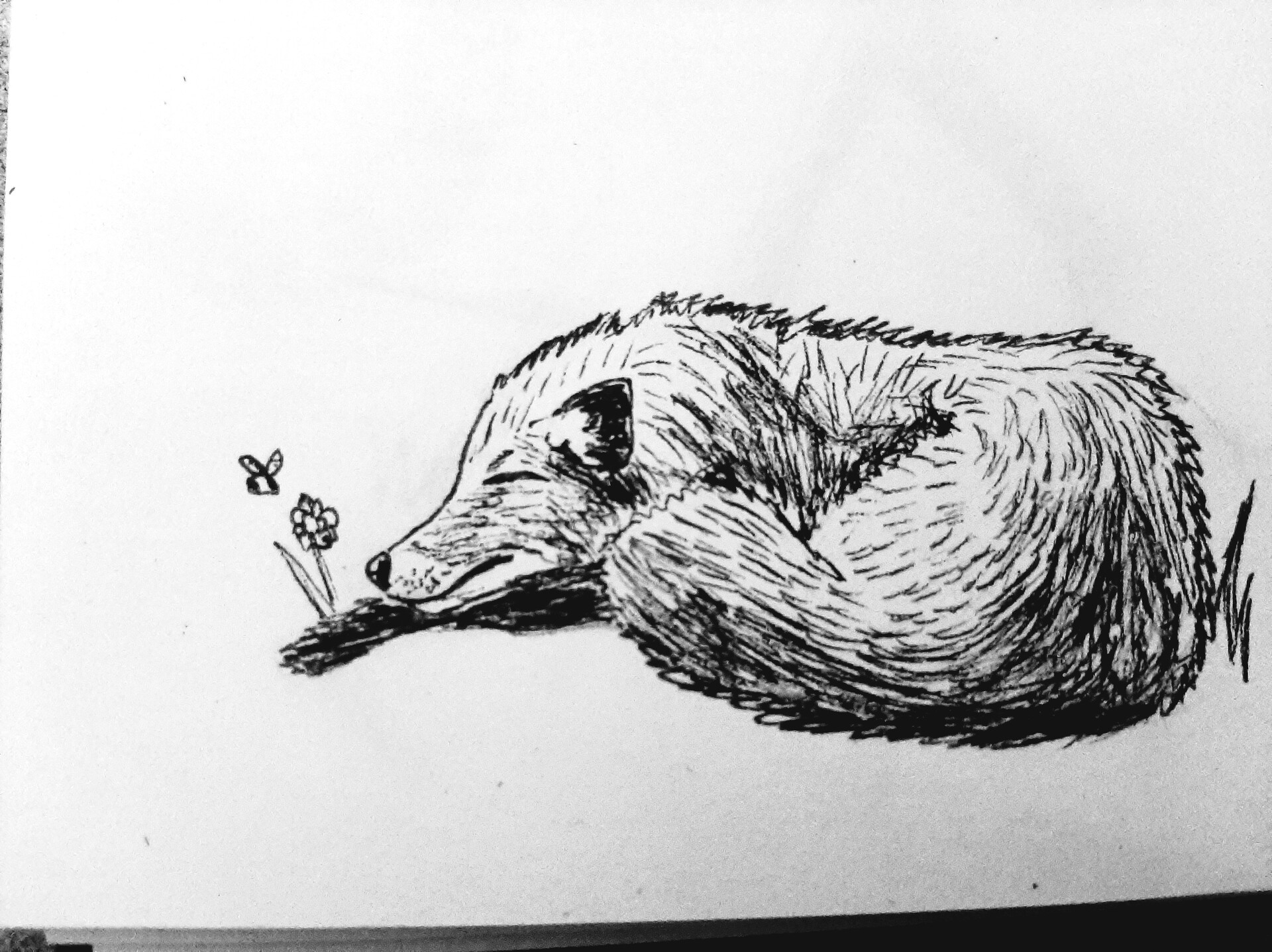 Jean Collard - Some of my sketches