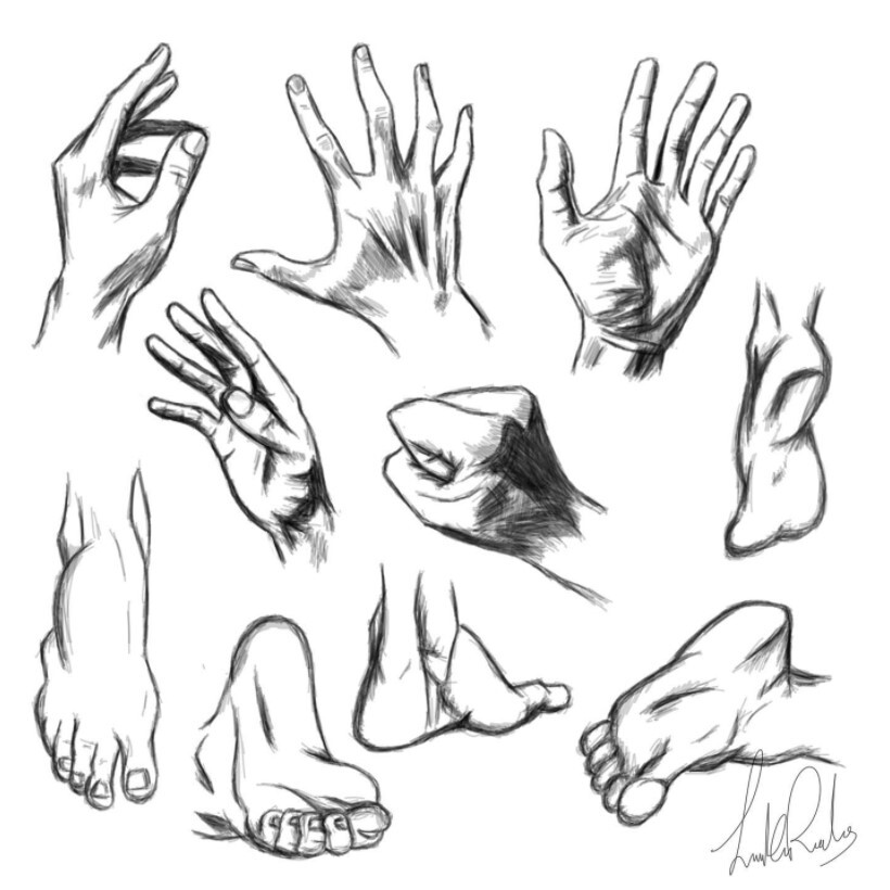 ArtStation - Hand and Foot Study
