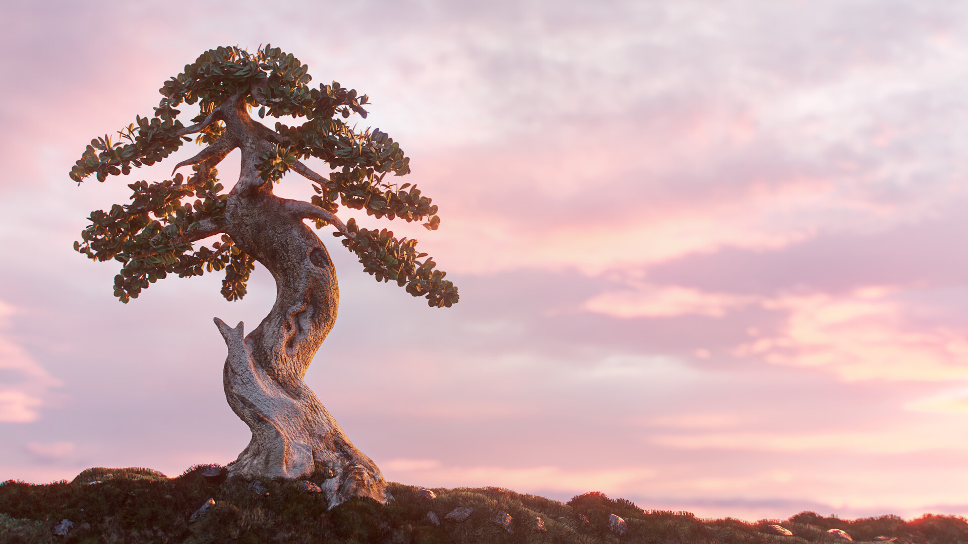 ArtStation - Bonsai in a sunset