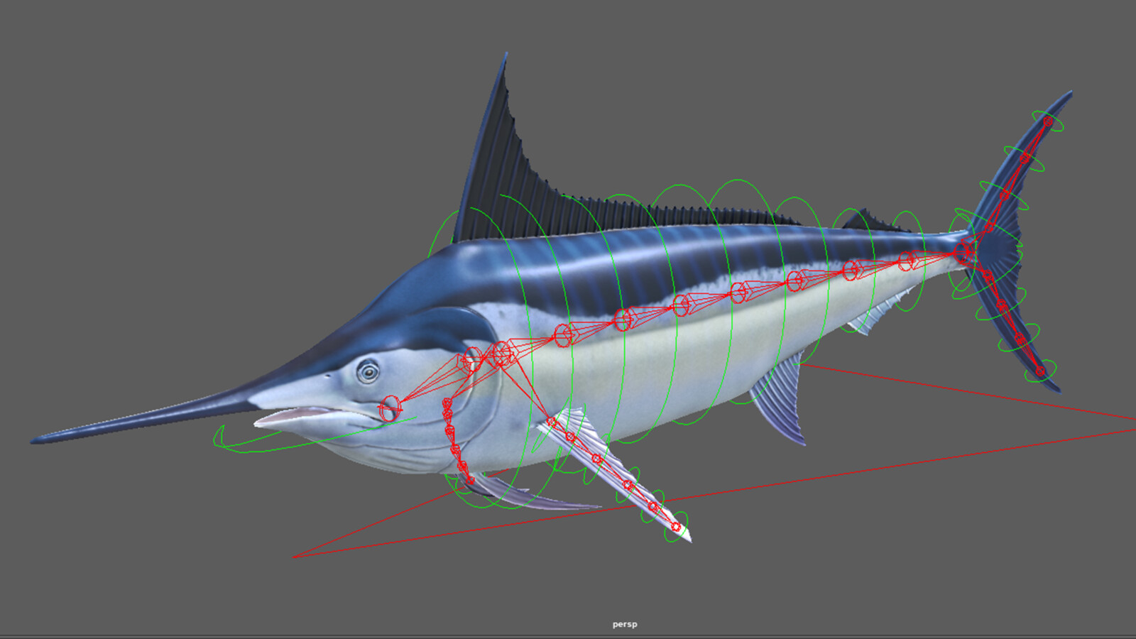 Pietro Mosca - some fishes rigs