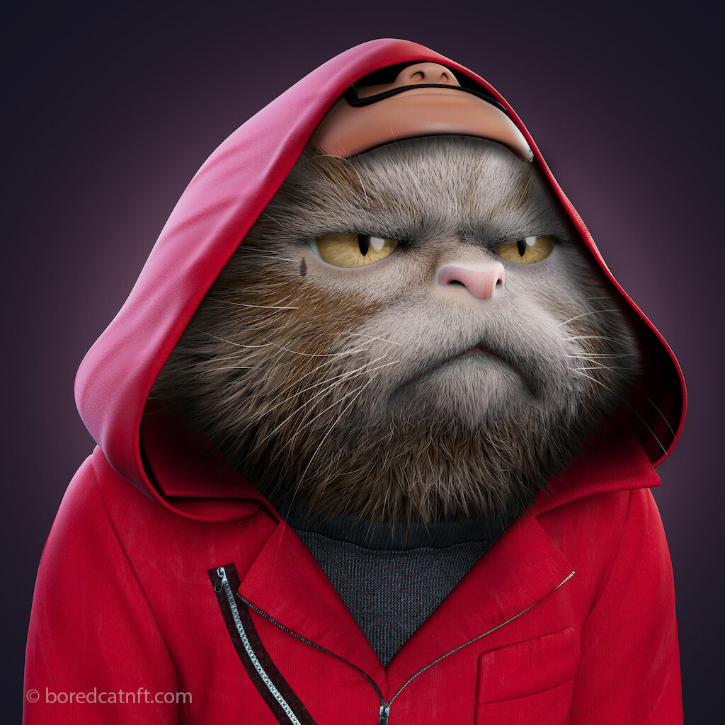 bored cat nft