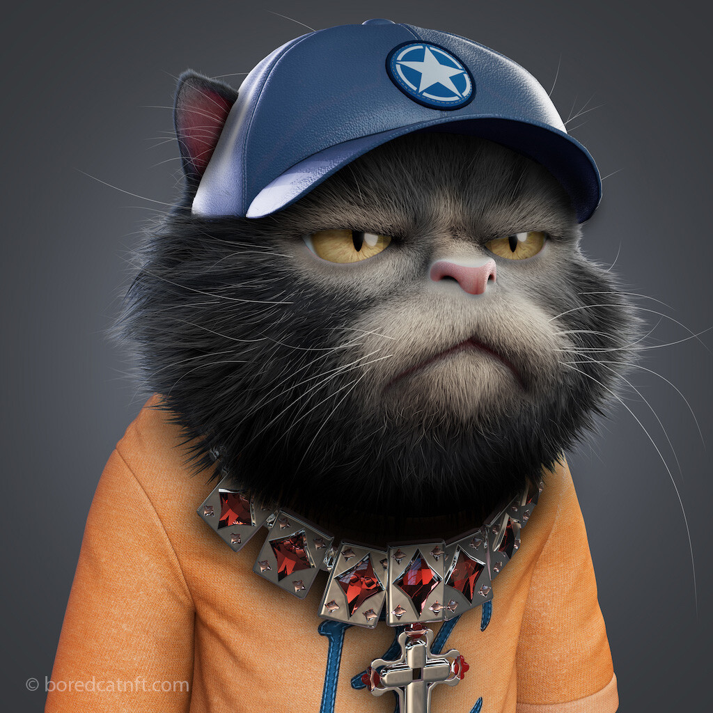 bored cat nft