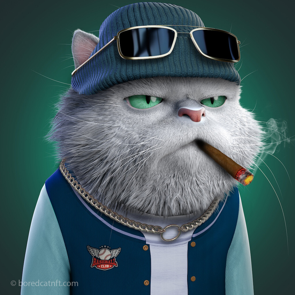 bored cat nft